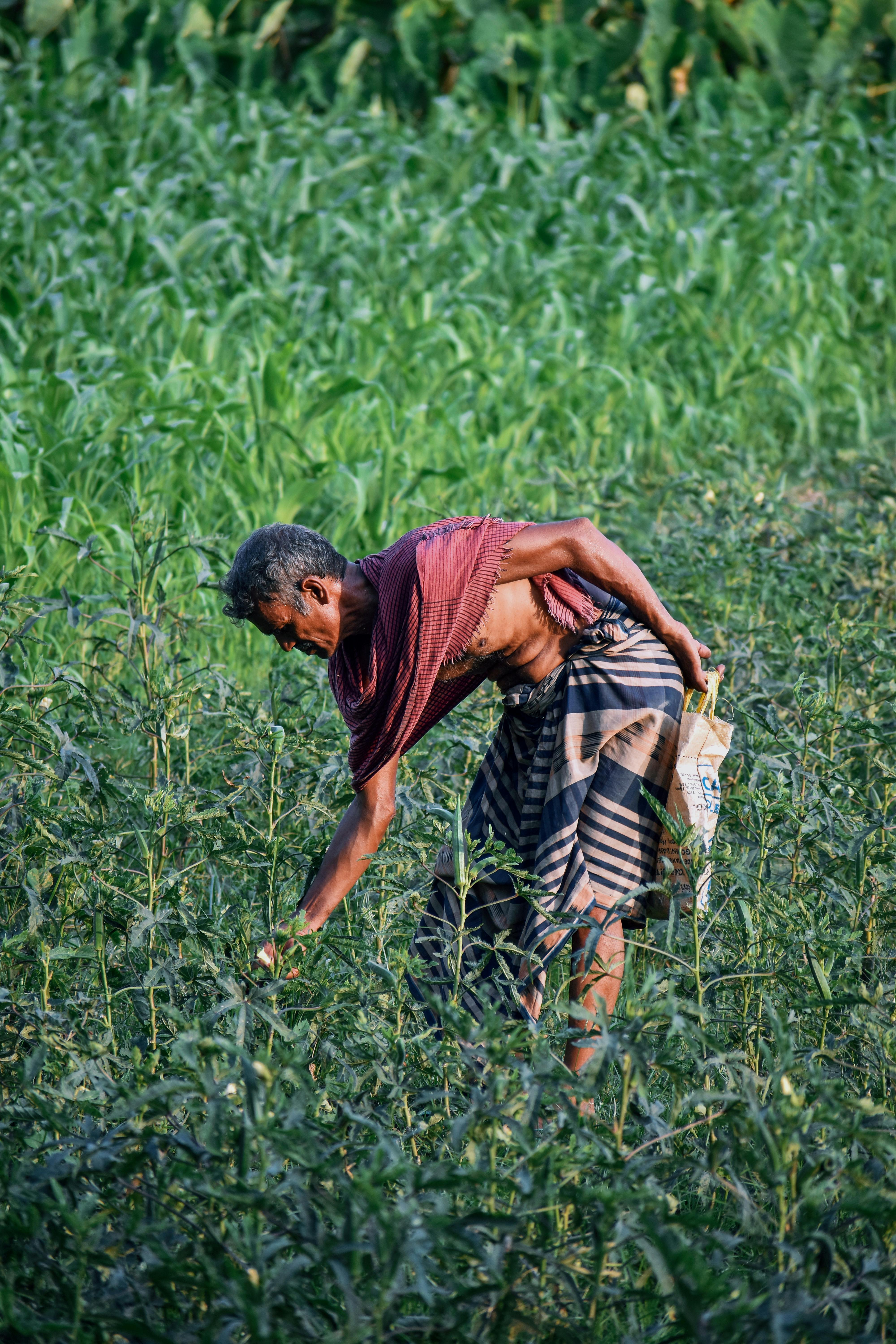 A Man Farming on Grass Field · Free Stock Photo