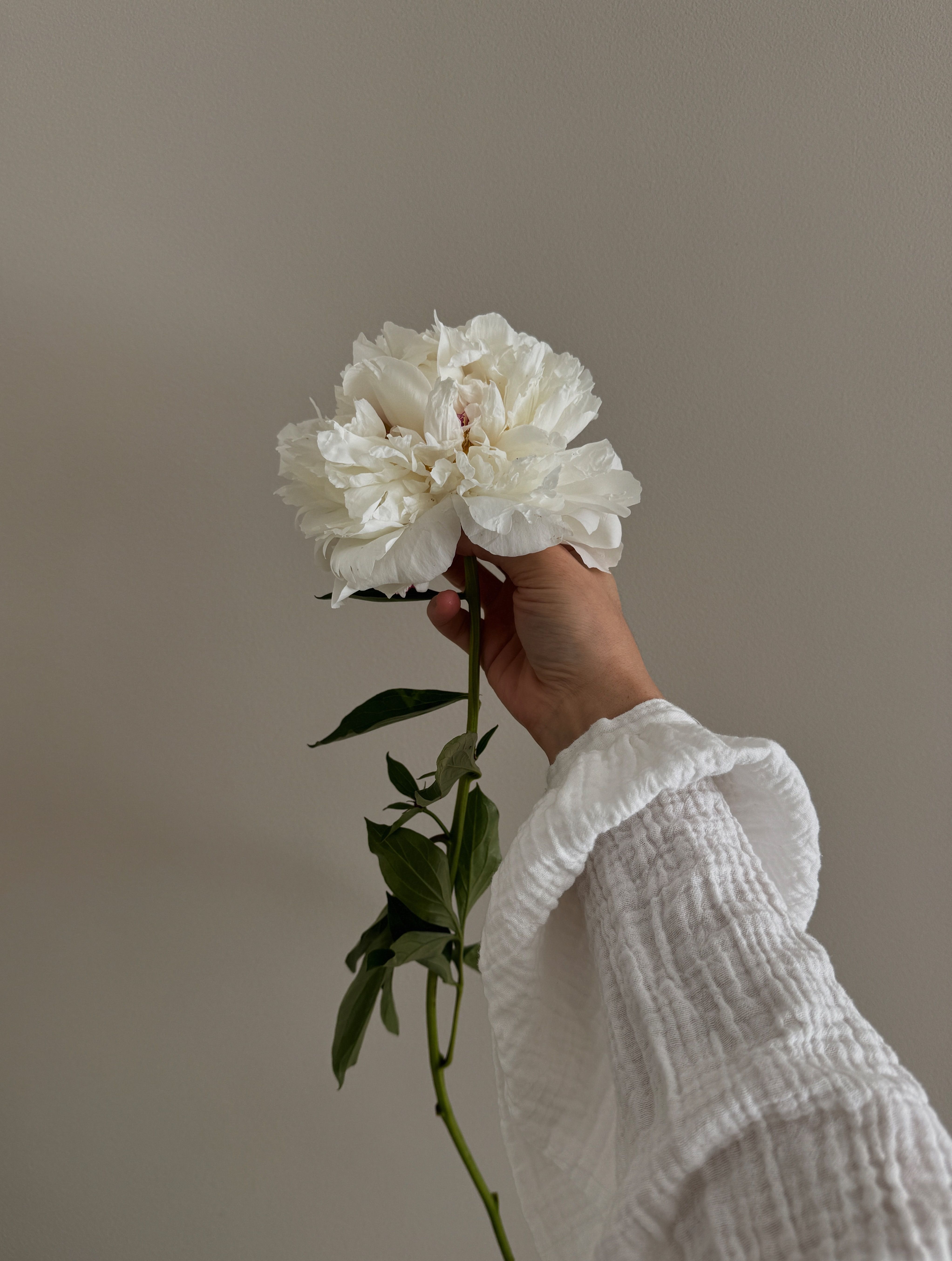 使用带有 M5 预设的 Vsco 进行处理 · 免费素材图片