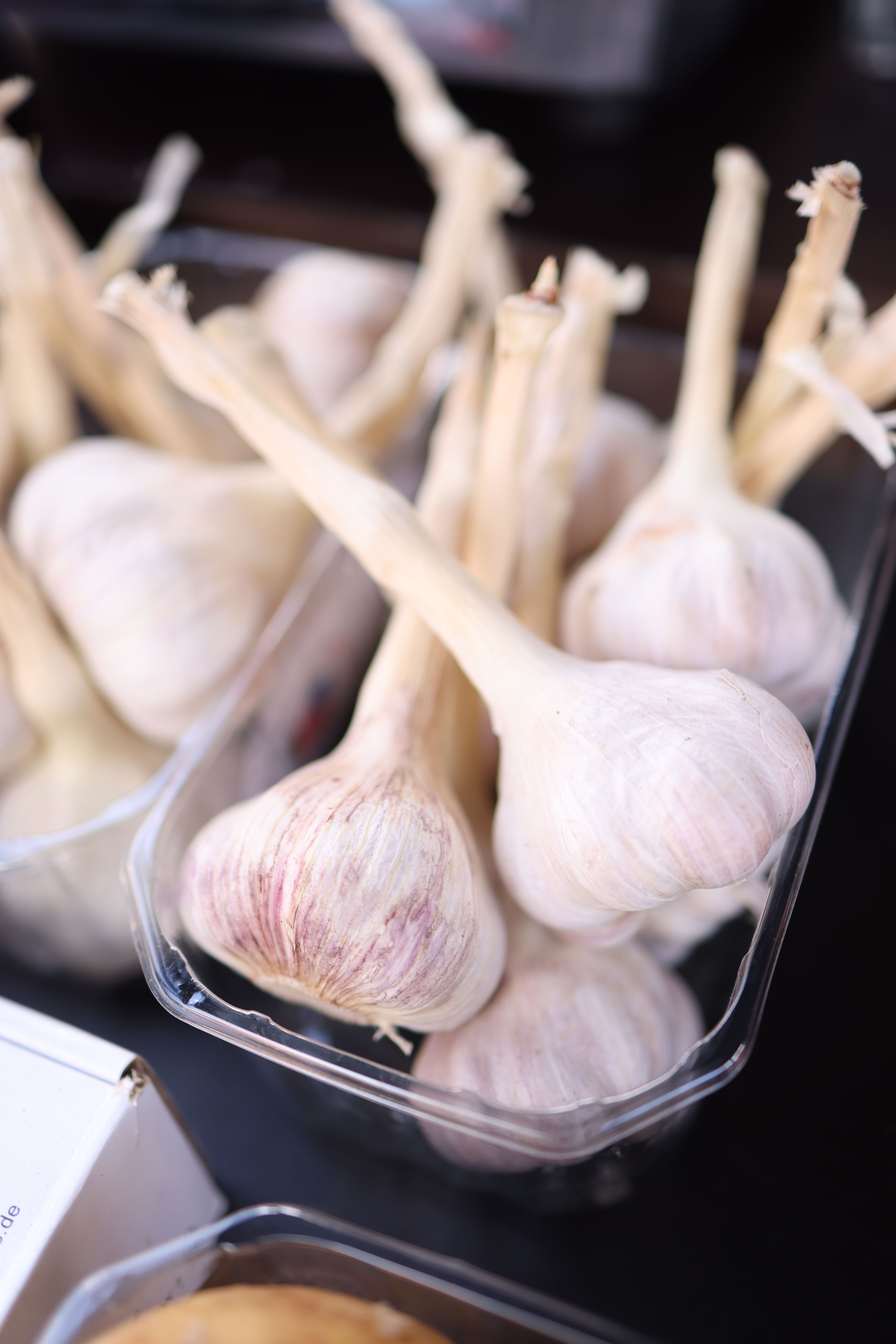 Garlic Cloves in Plastic Containers · Free Stock Photo