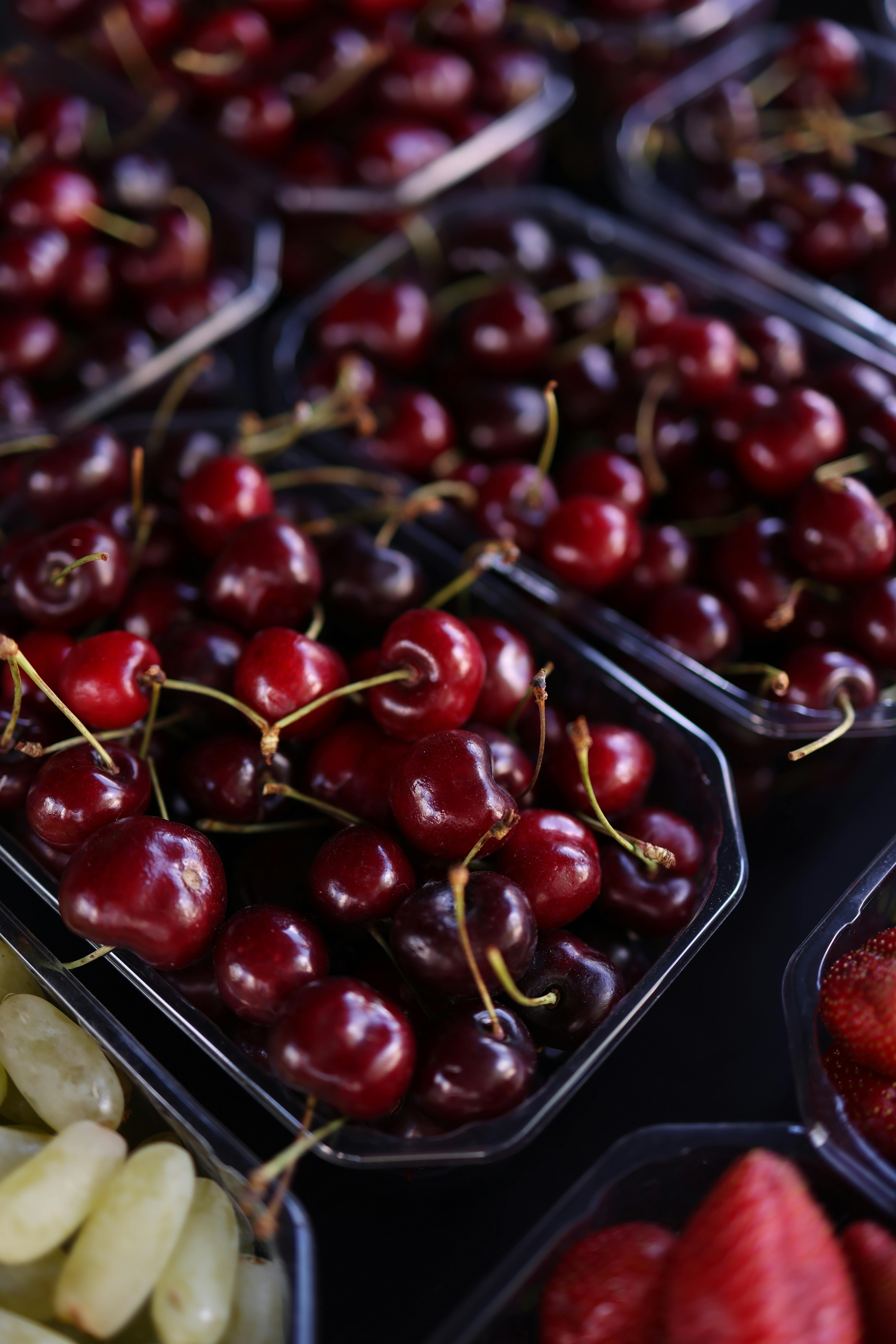 Red Cherries · Free Stock Photo