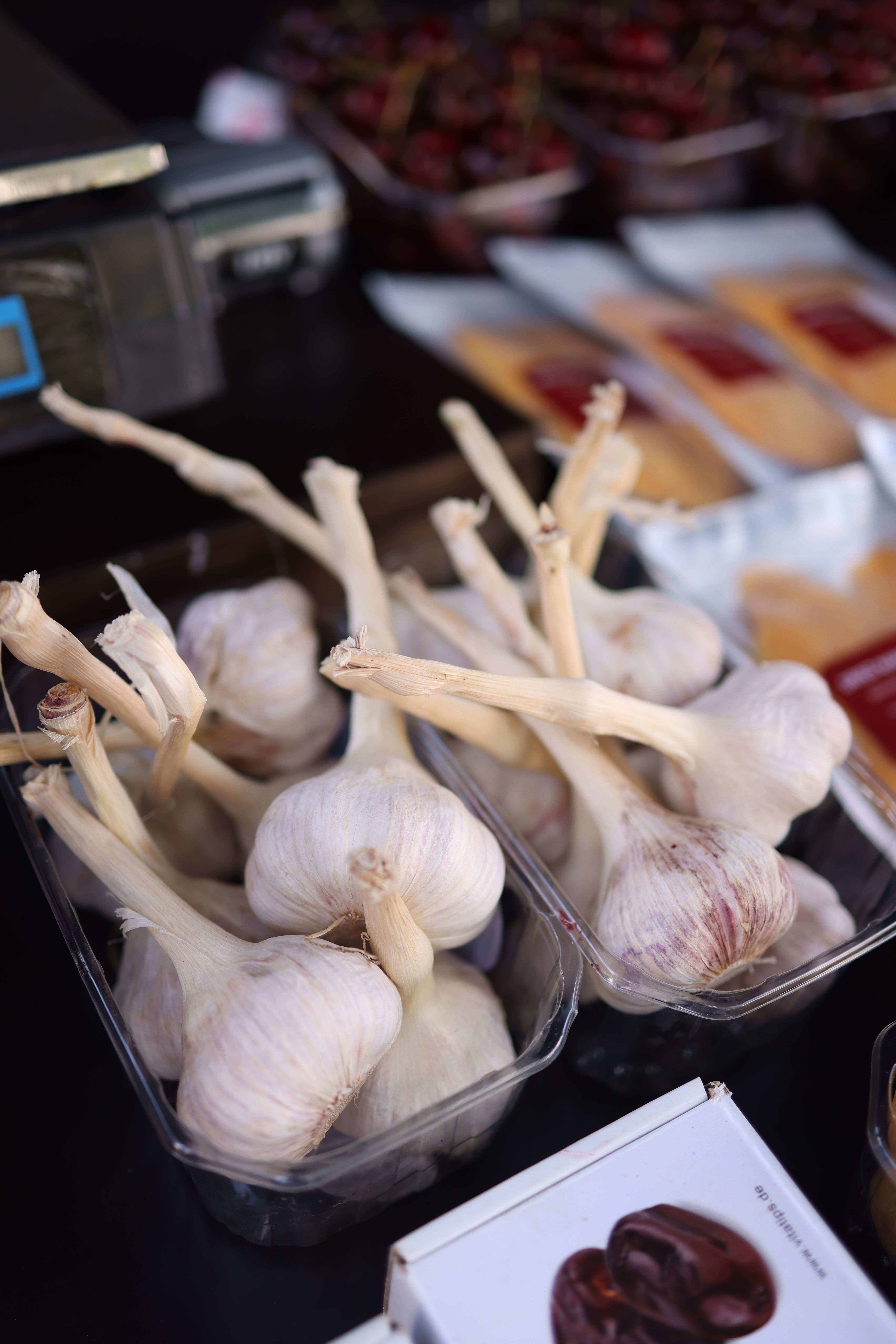 Garlic Cloves in Plastic Containers · Free Stock Photo
