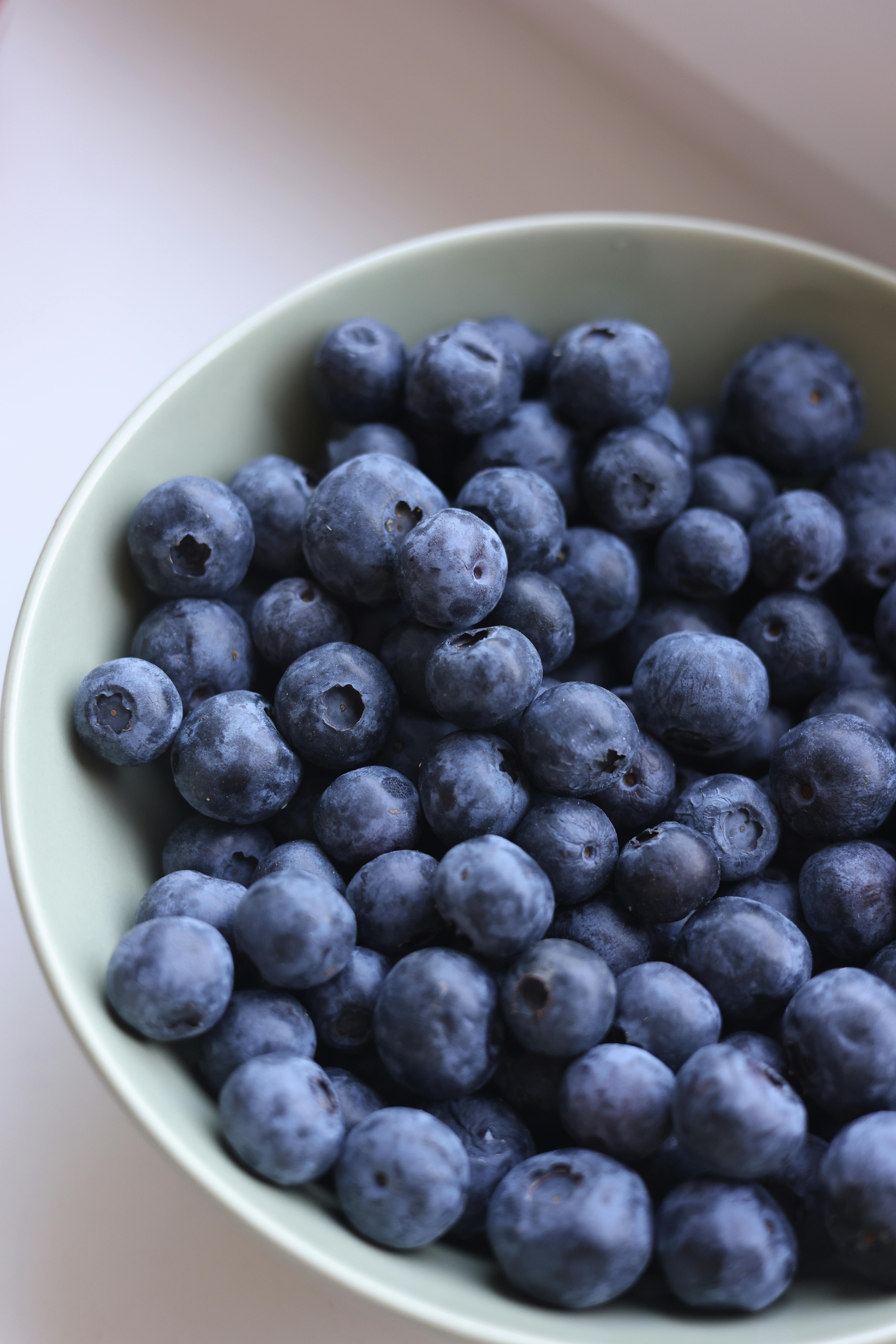 Photo of Blueberries · Free Stock Photo