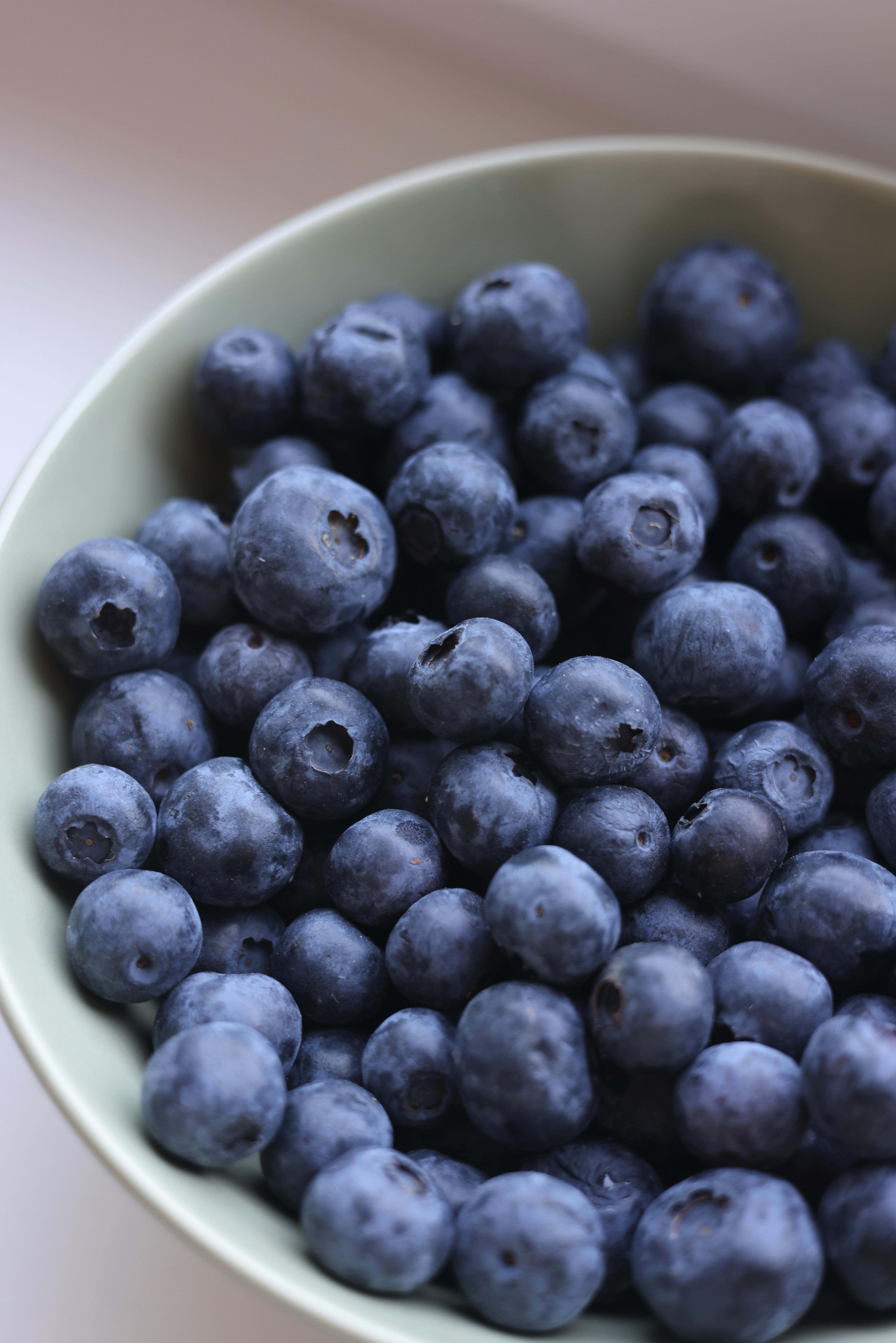 Juicy Blueberries in Bowl · Free Stock Photo