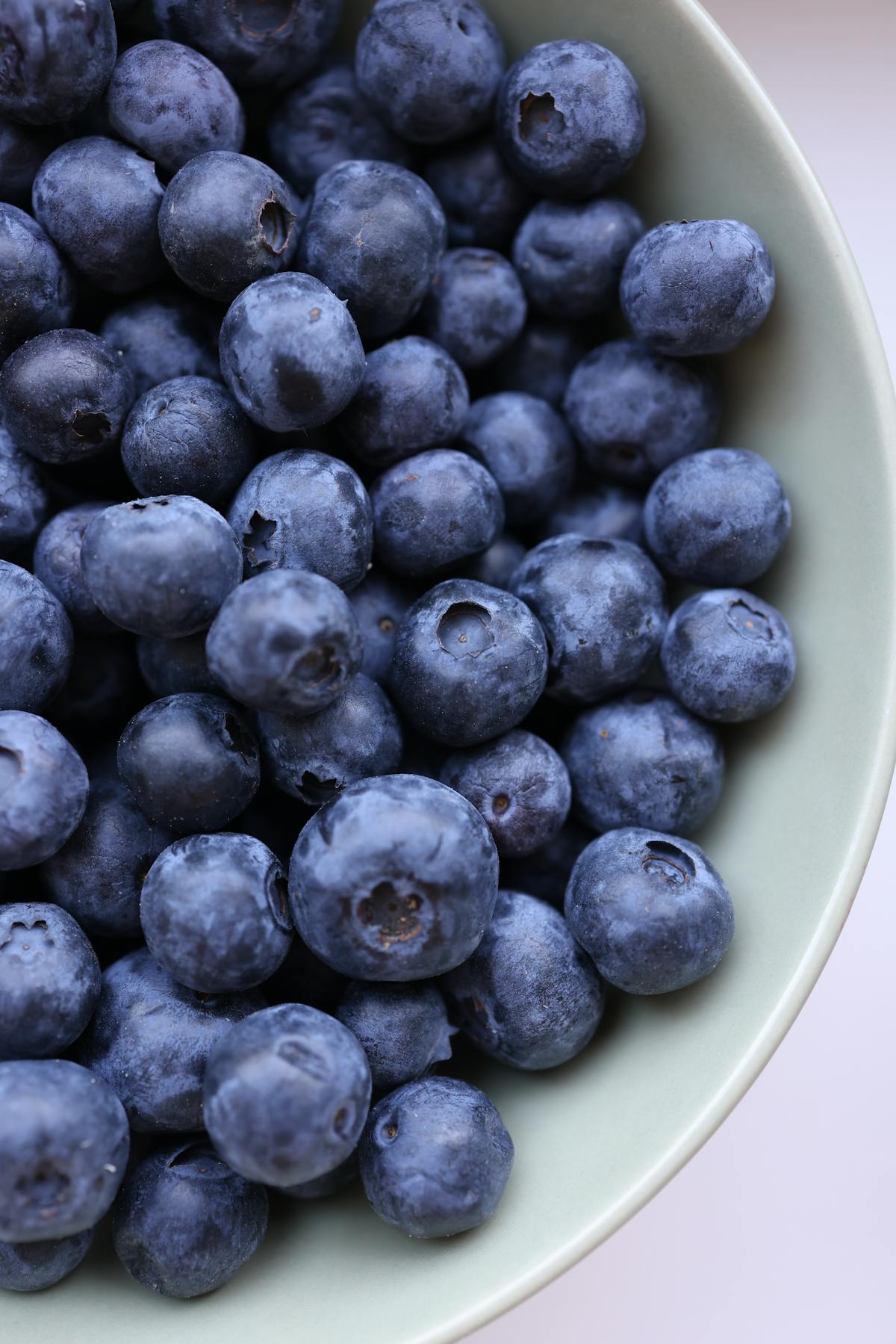 Blue Berries Photos, Download The BEST Free Blue Berries Stock Photos ...