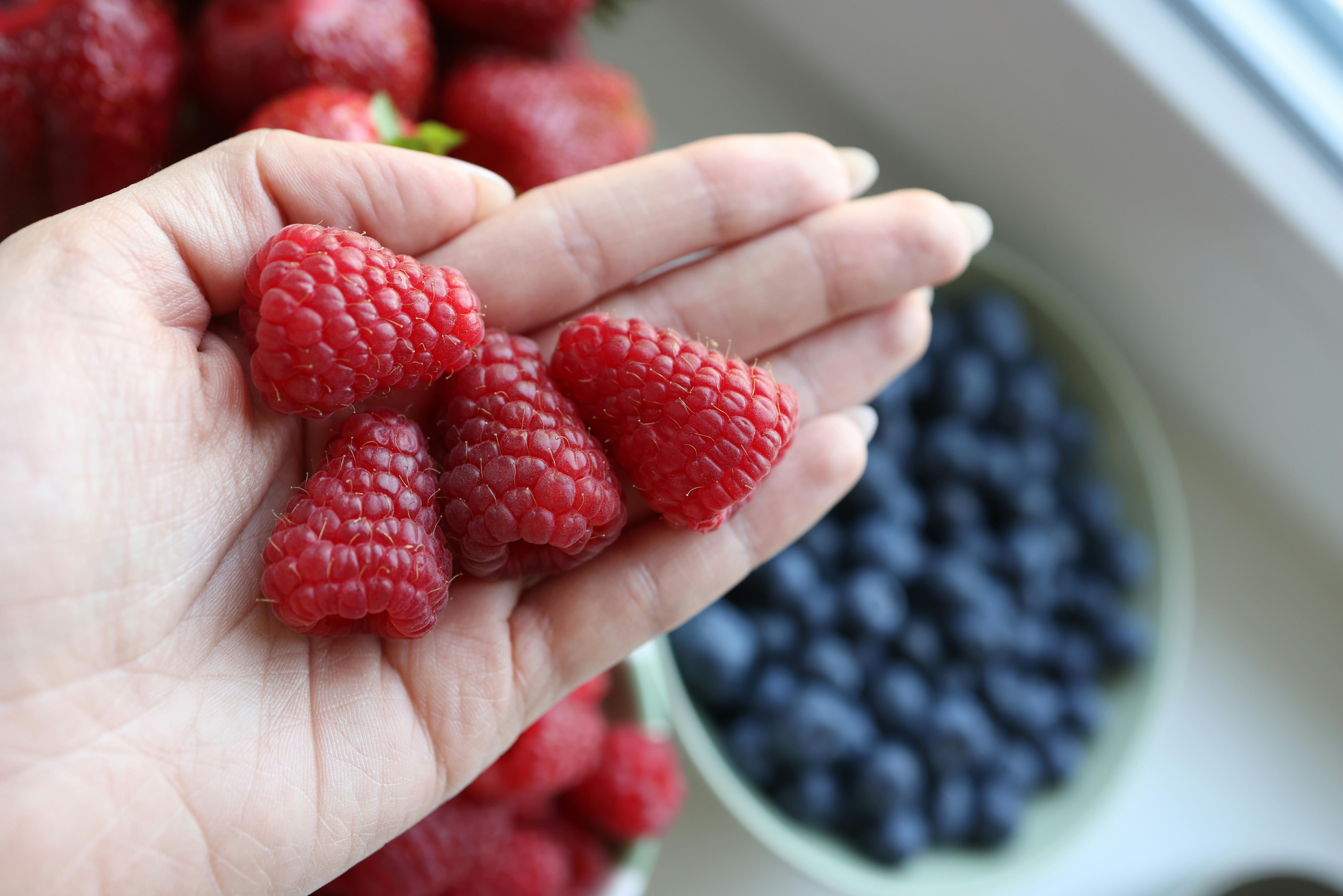 Person Holding Raspberries · Free Stock Photo