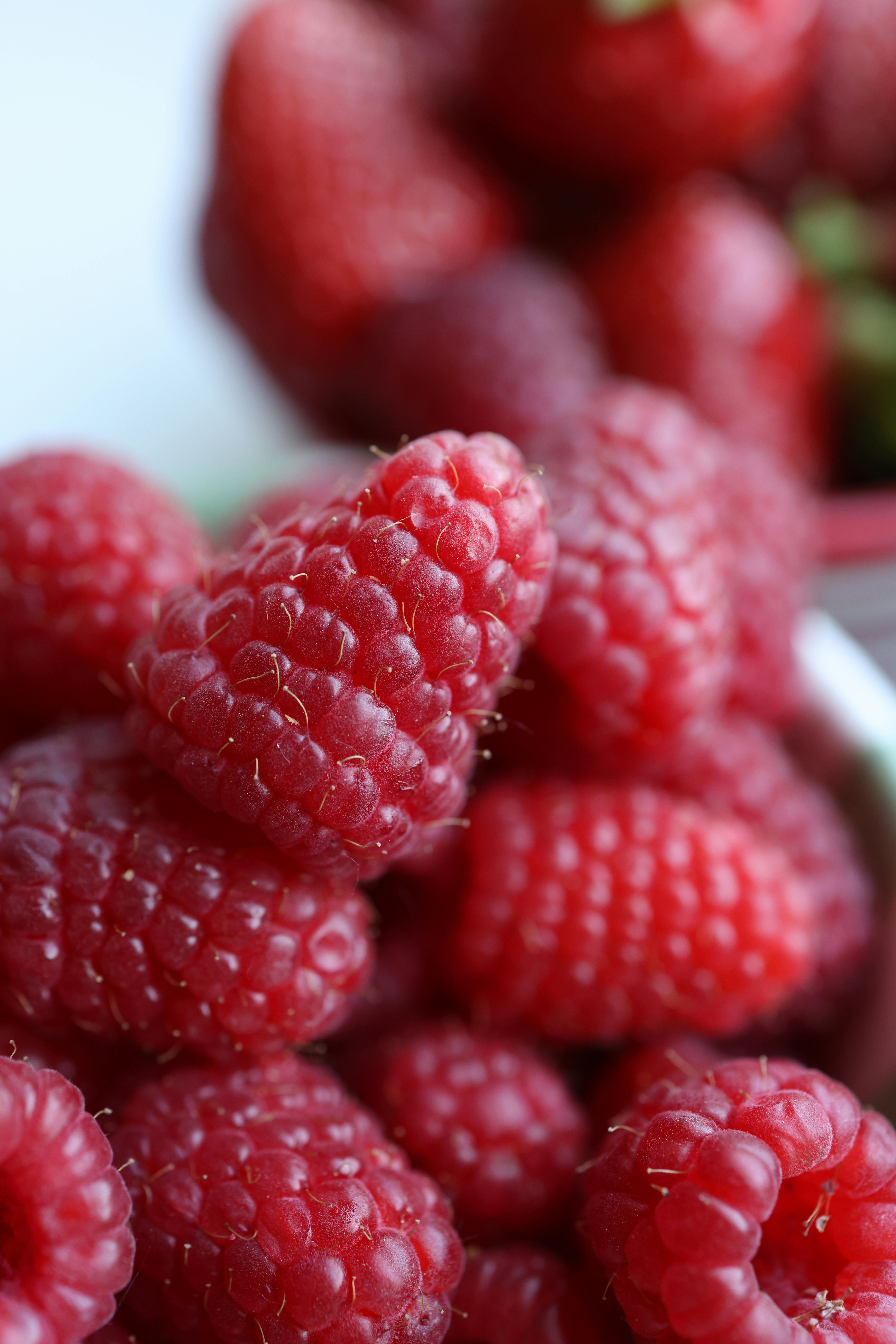 Close-Up of Fresh Raspberries · Free Stock Photo