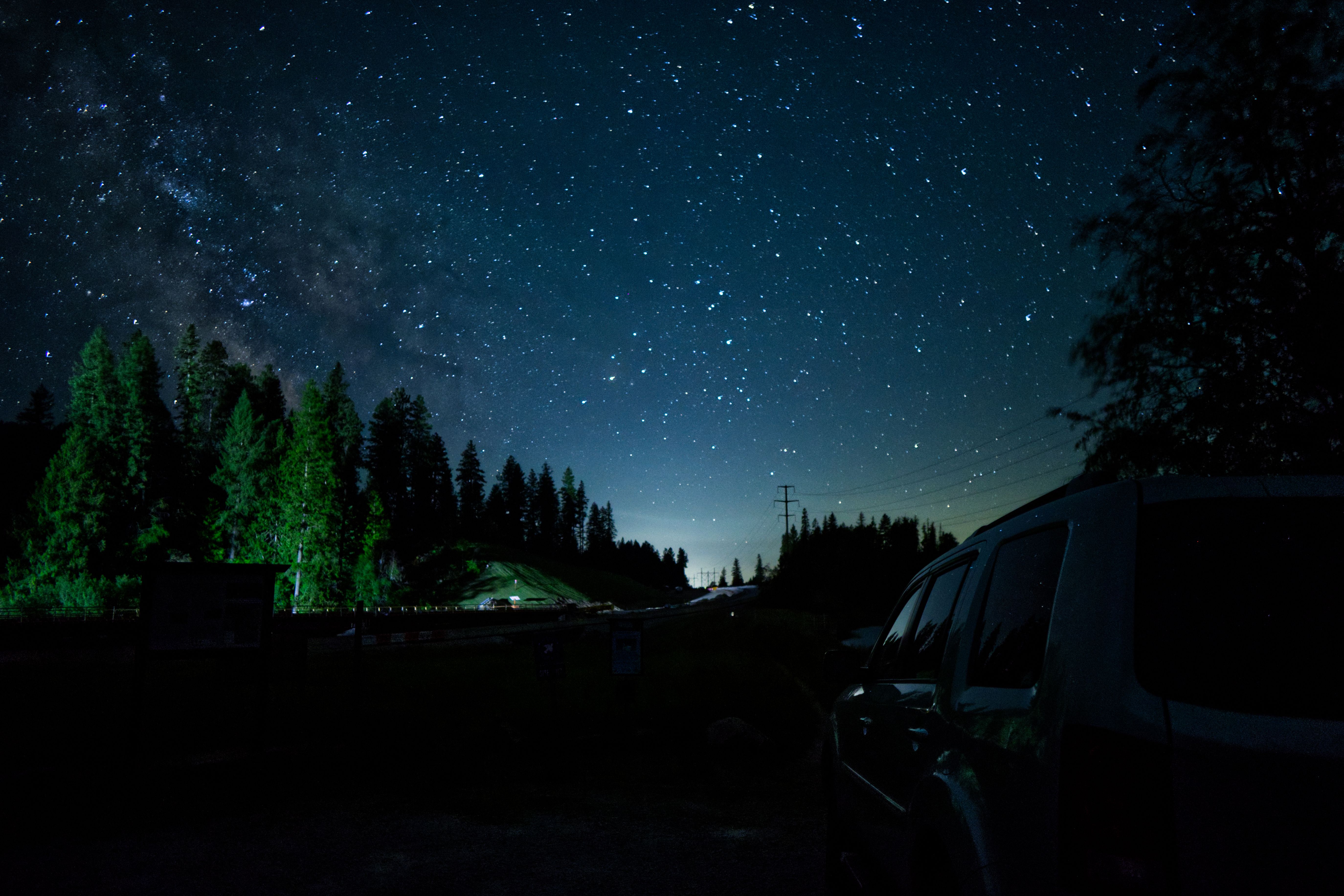 Starry Night in a Forest · Free Stock Photo