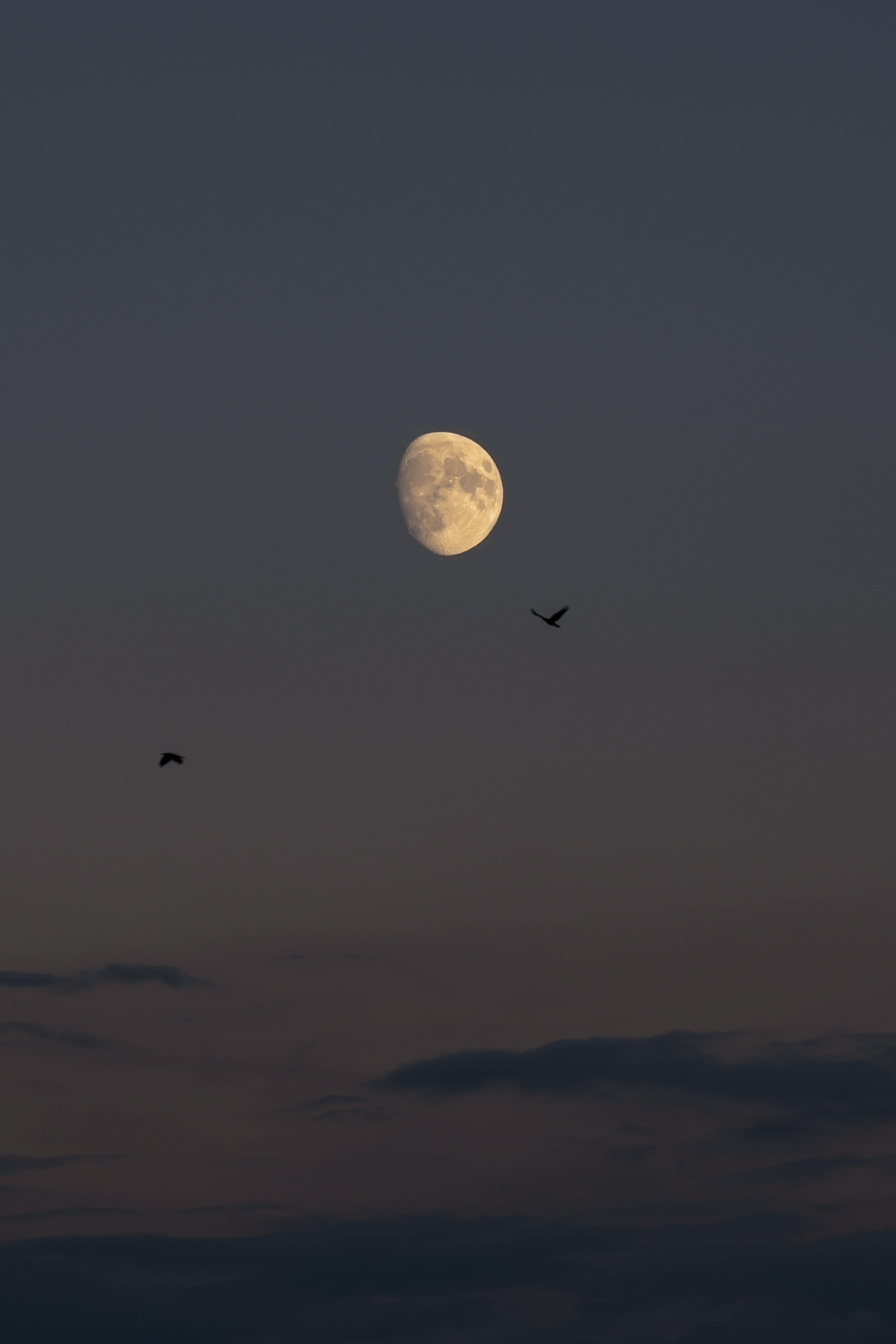 Landscape Midnight Photos, Download The BEST Free Landscape Midnight ...