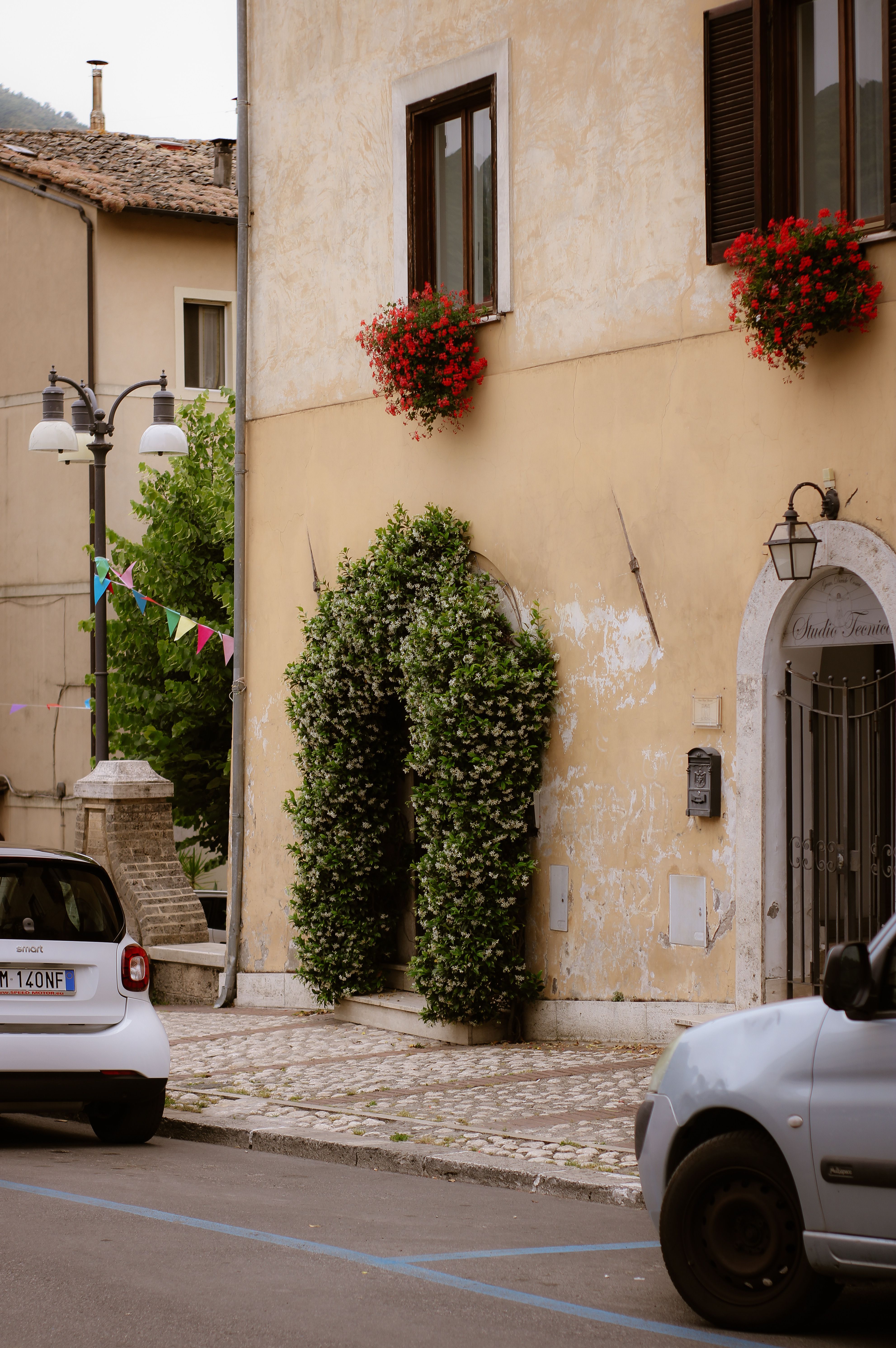 Flowering Bush Arching over a Building Entrance · Free Stock Photo