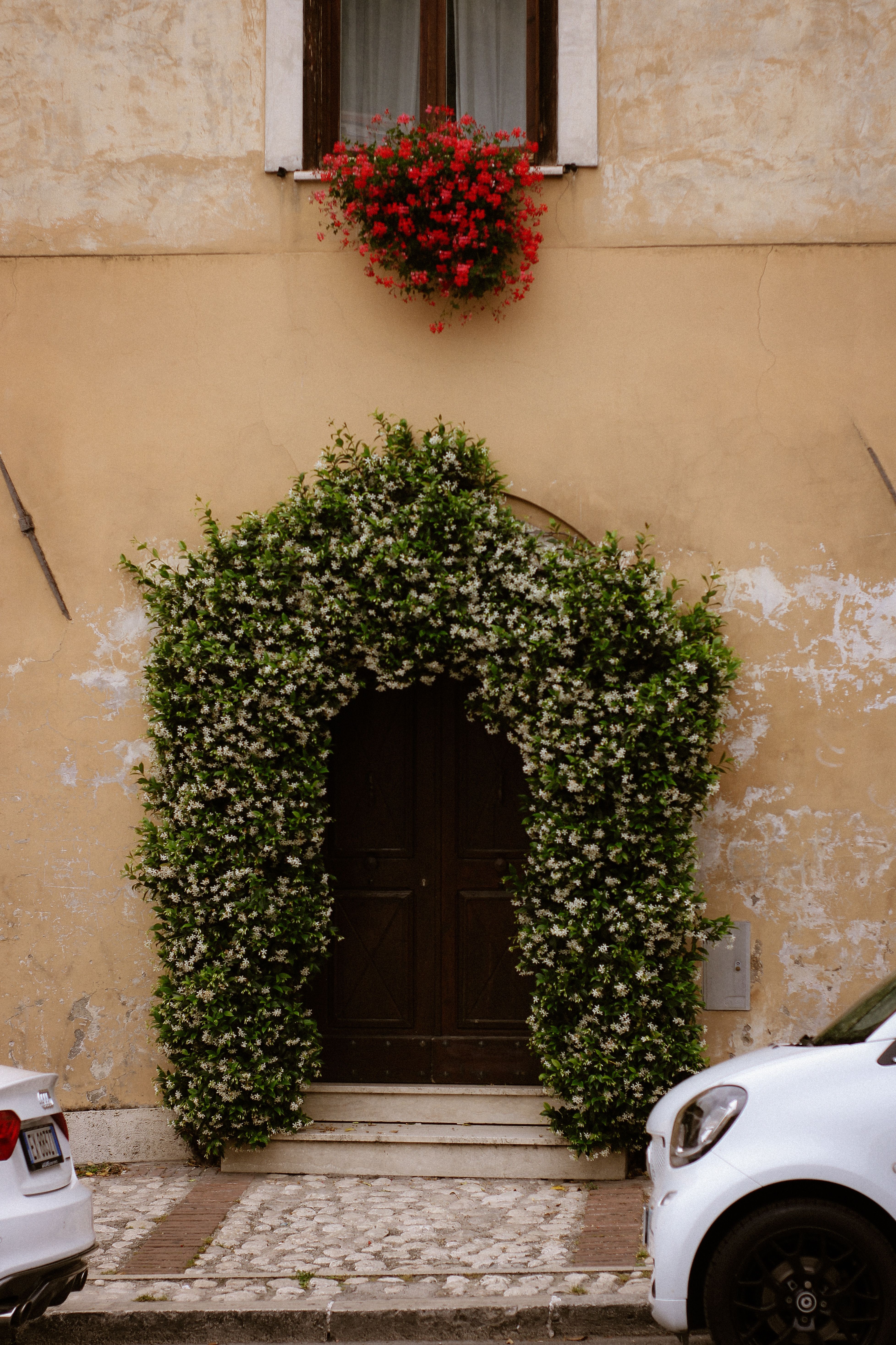 Flowering Bush Arching over a Building Entrance · Free Stock Photo