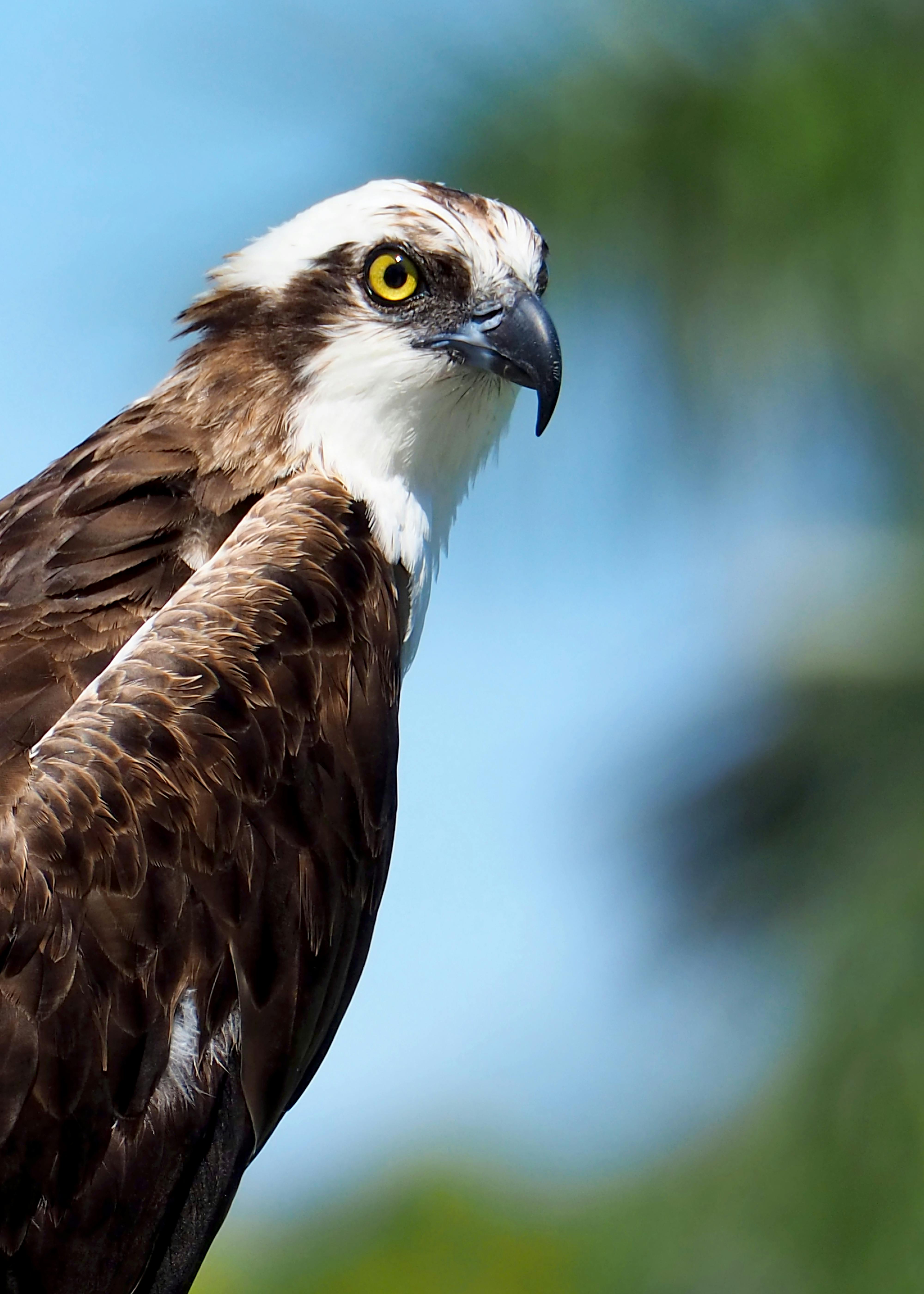 Alexa Heinrich - Fotografía