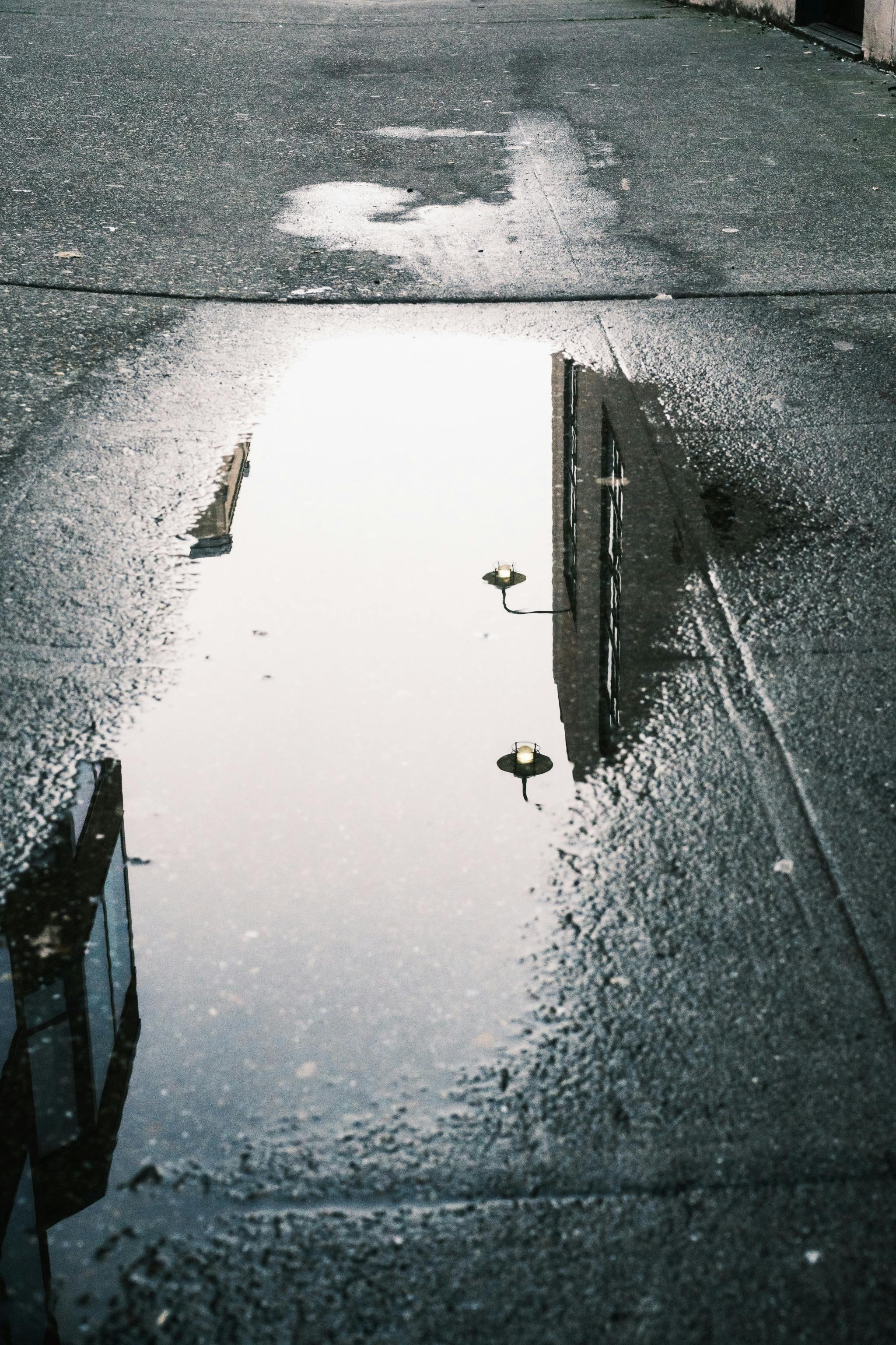 Reflection In the Puddle · Free Stock Photo