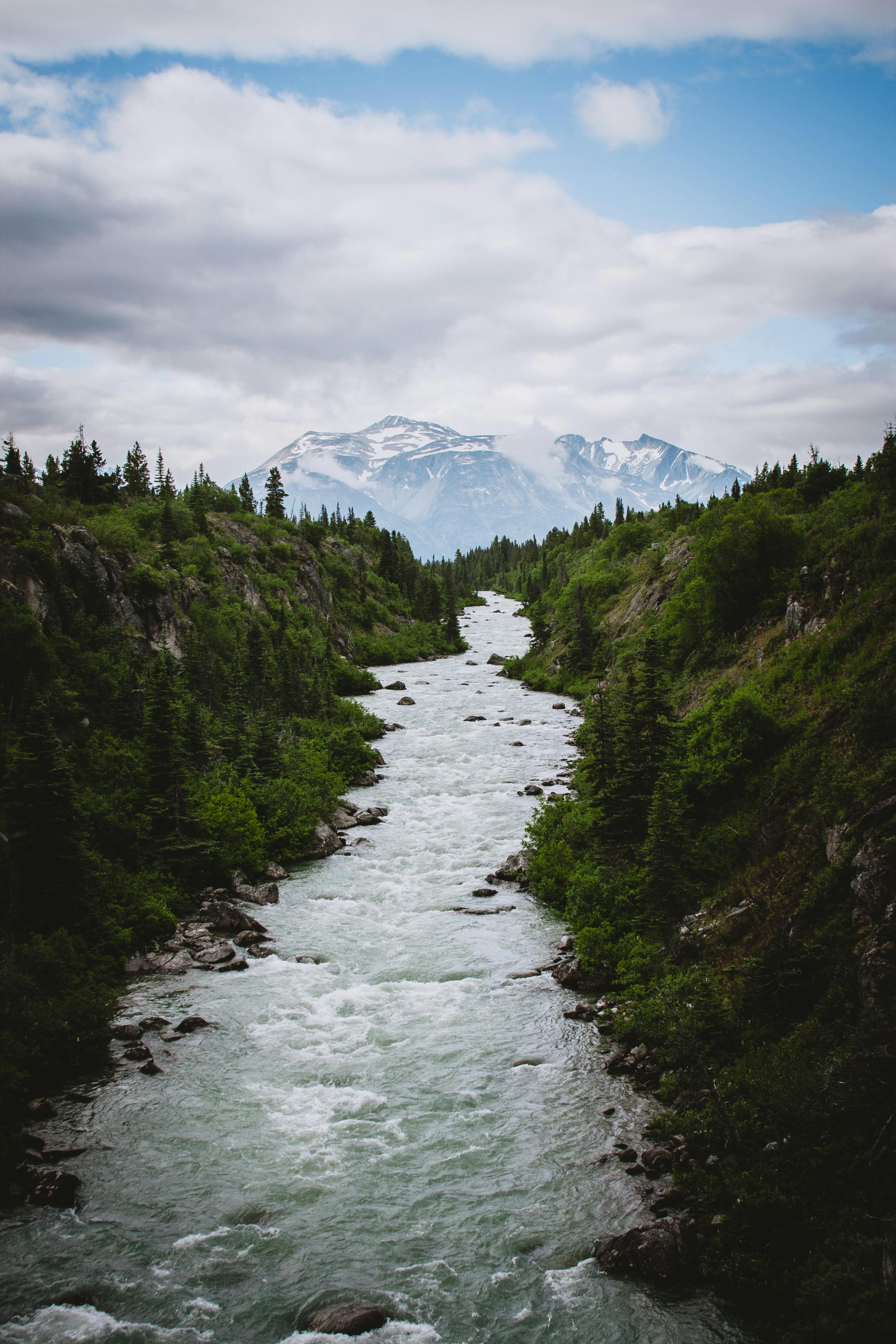 River Through Rocky Gorge with Mountain Backdrop in British Columbia ...