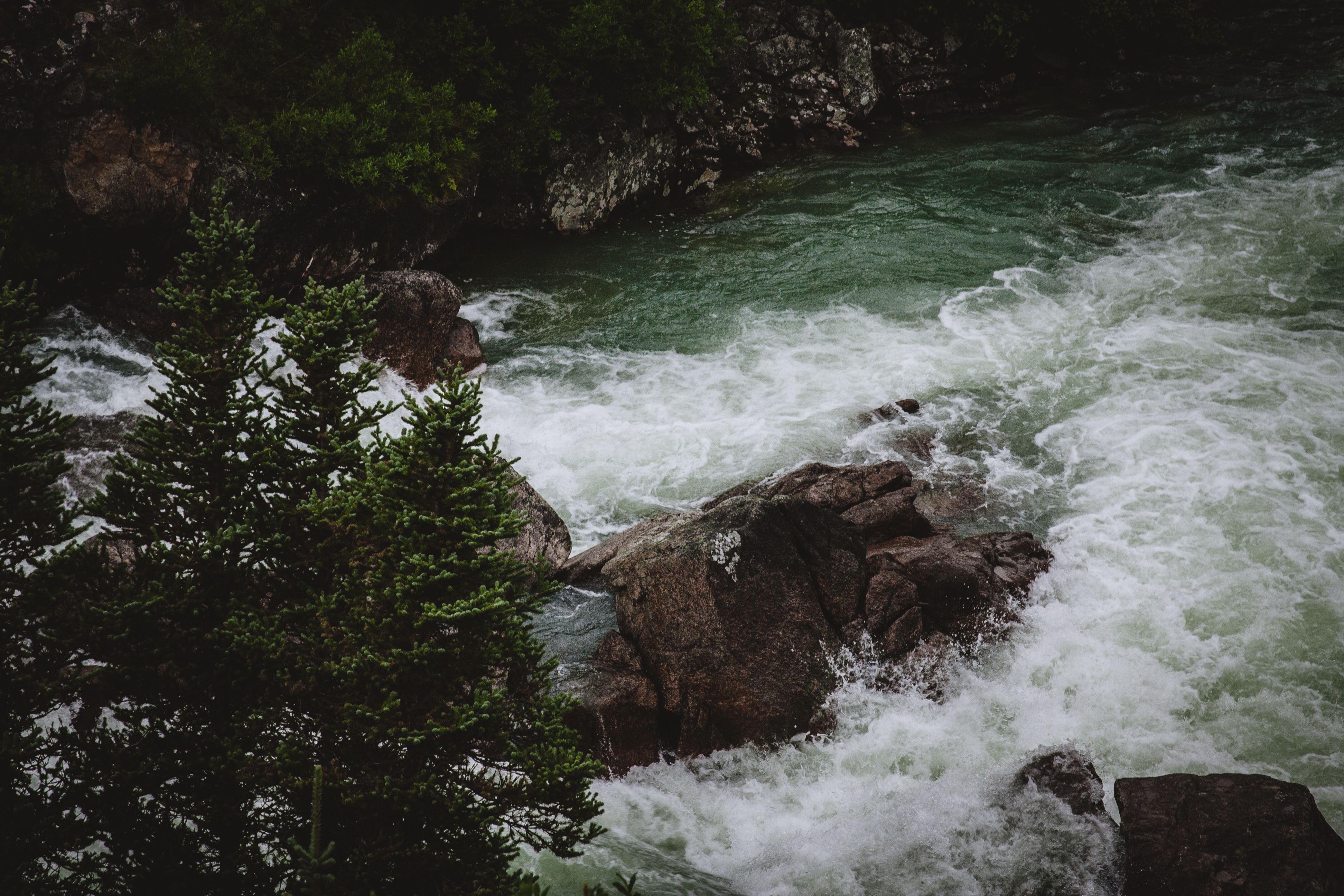 Cascading Rapids of British Columbia · Free Stock Photo