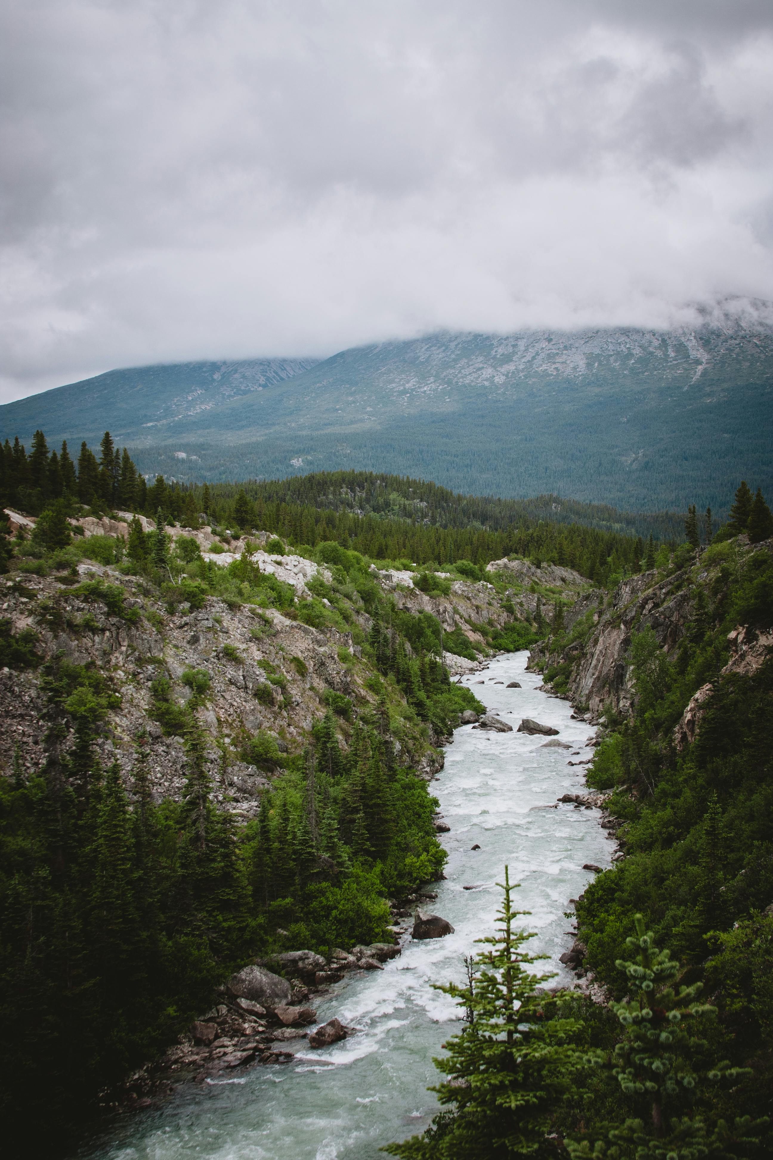 Rushing River Through British Columbia's Majestic Mountains · Free ...