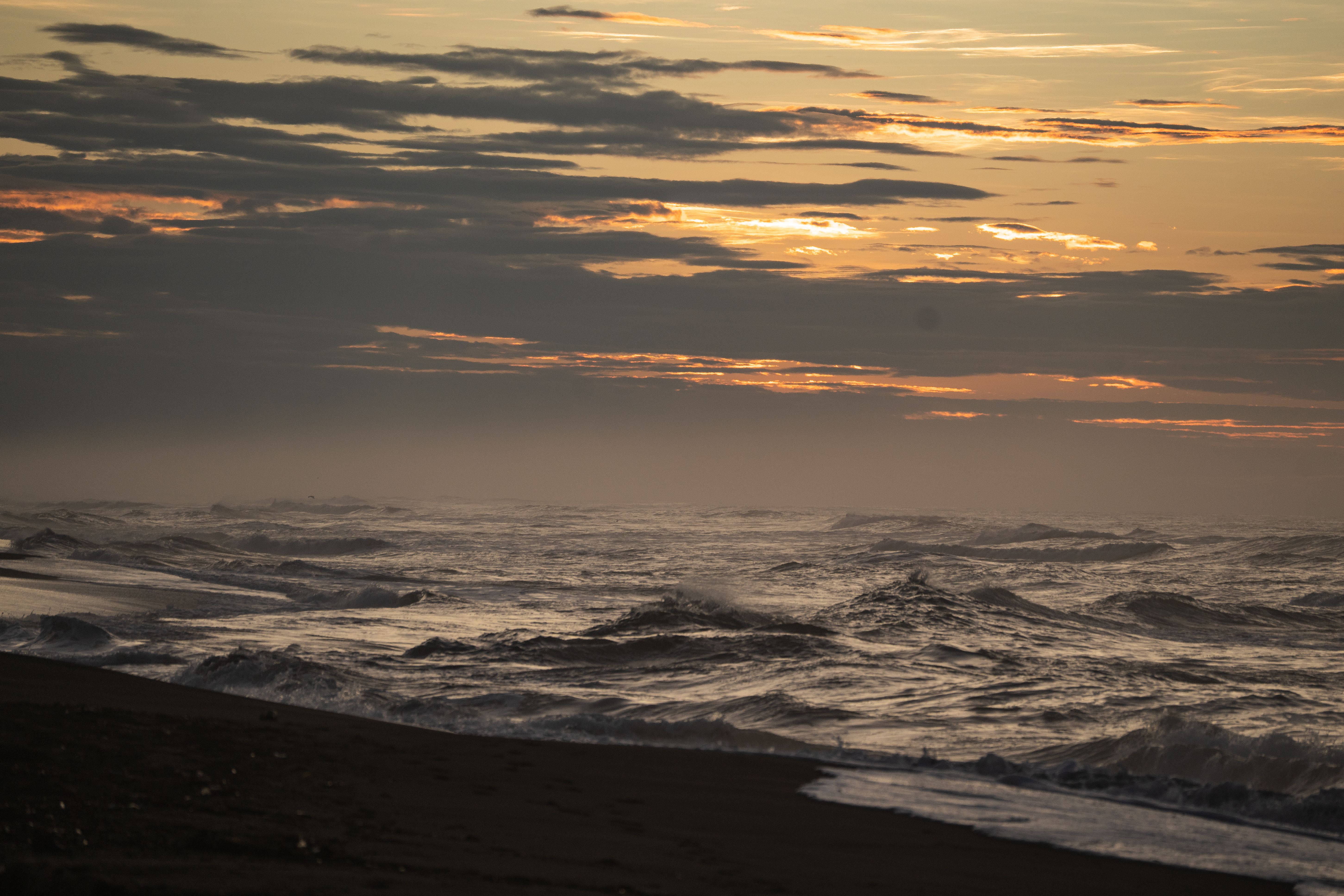 Waves at Dawn · Free Stock Photo