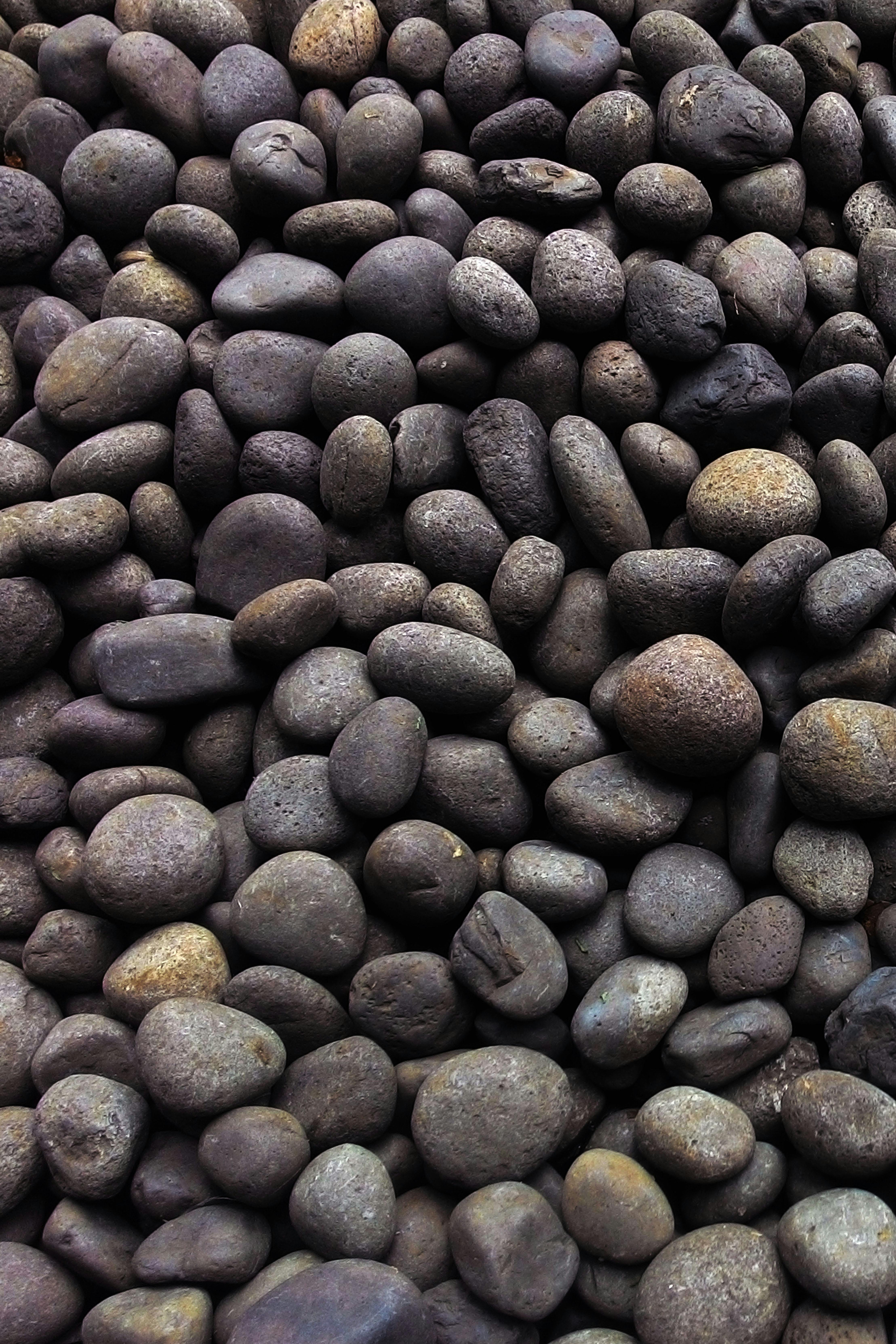 Close-up of a Heap of Smooth Pebbles · Free Stock Photo