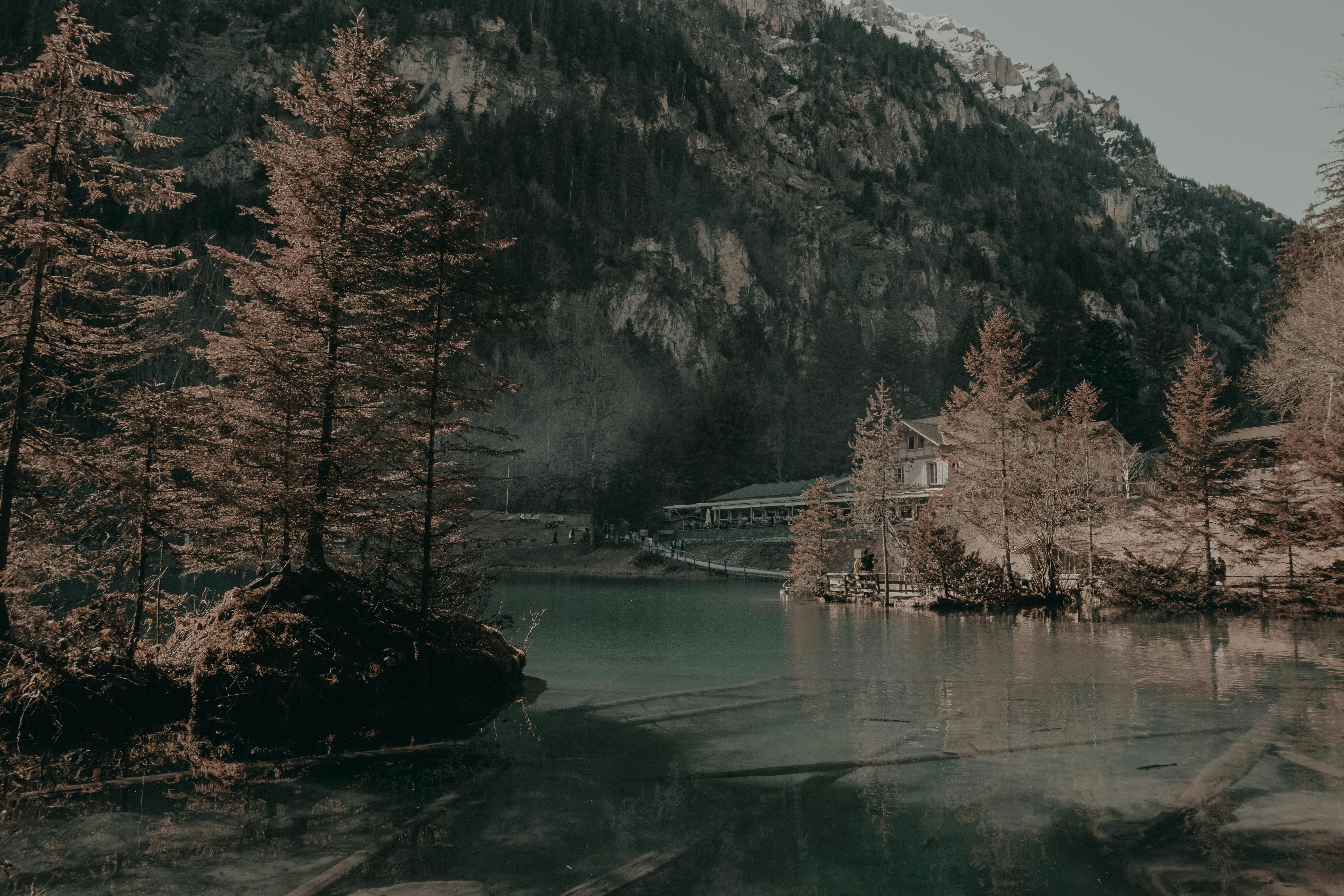 Scenic View Of Lake During Daytime · Free Stock Photo