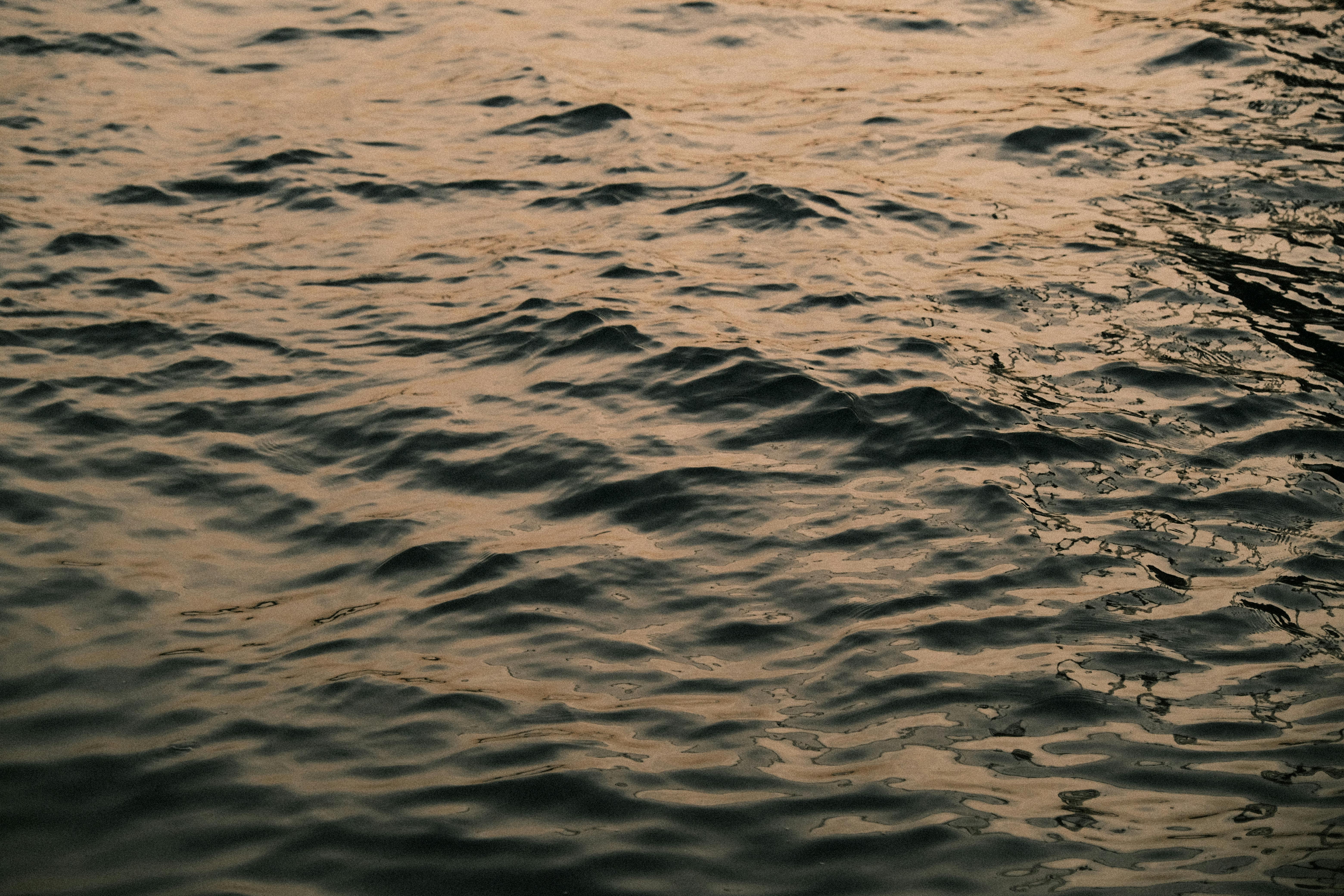 Undulating Sea Surface at Dusk · Free Stock Photo