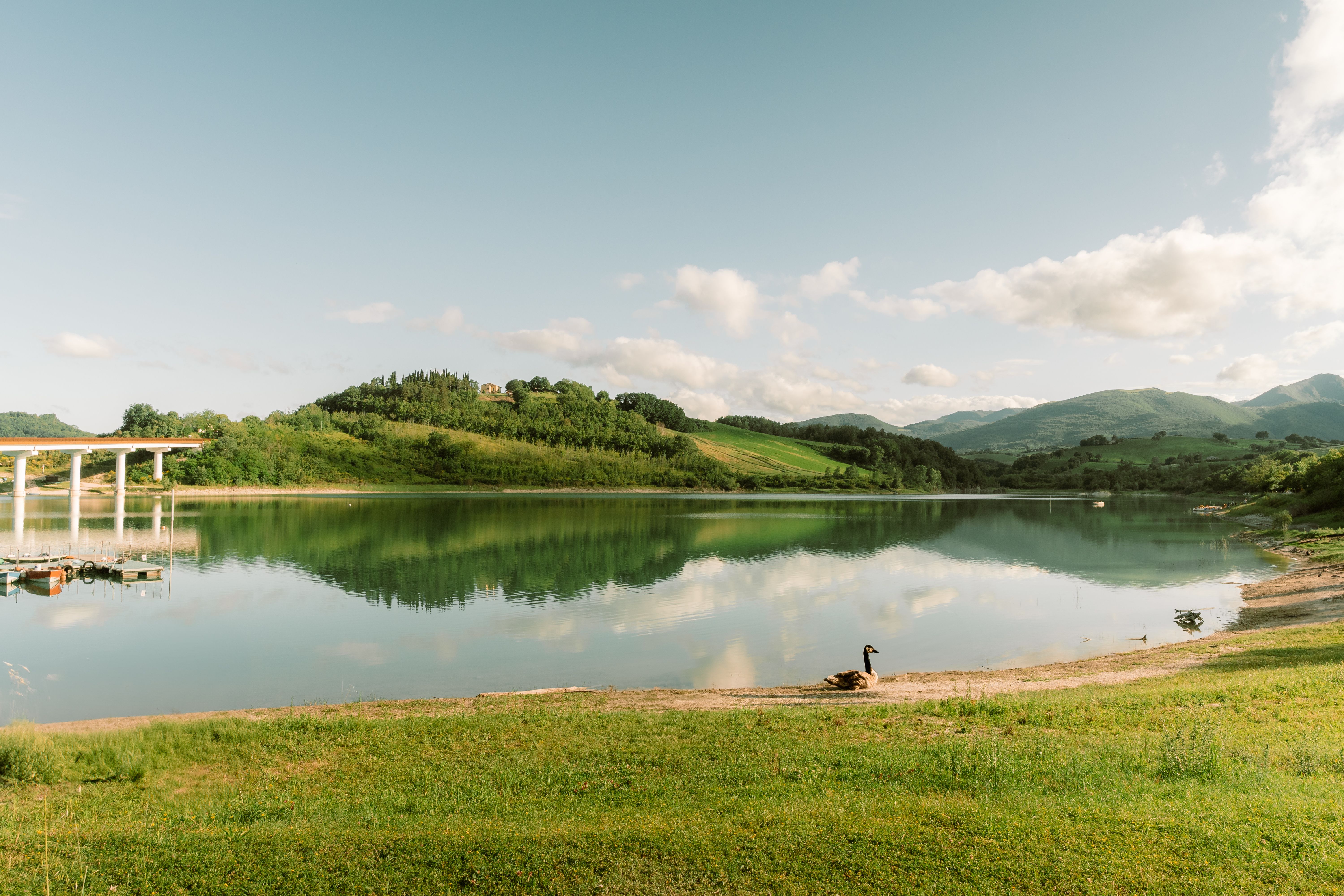 Lake in Countryside · Free Stock Photo