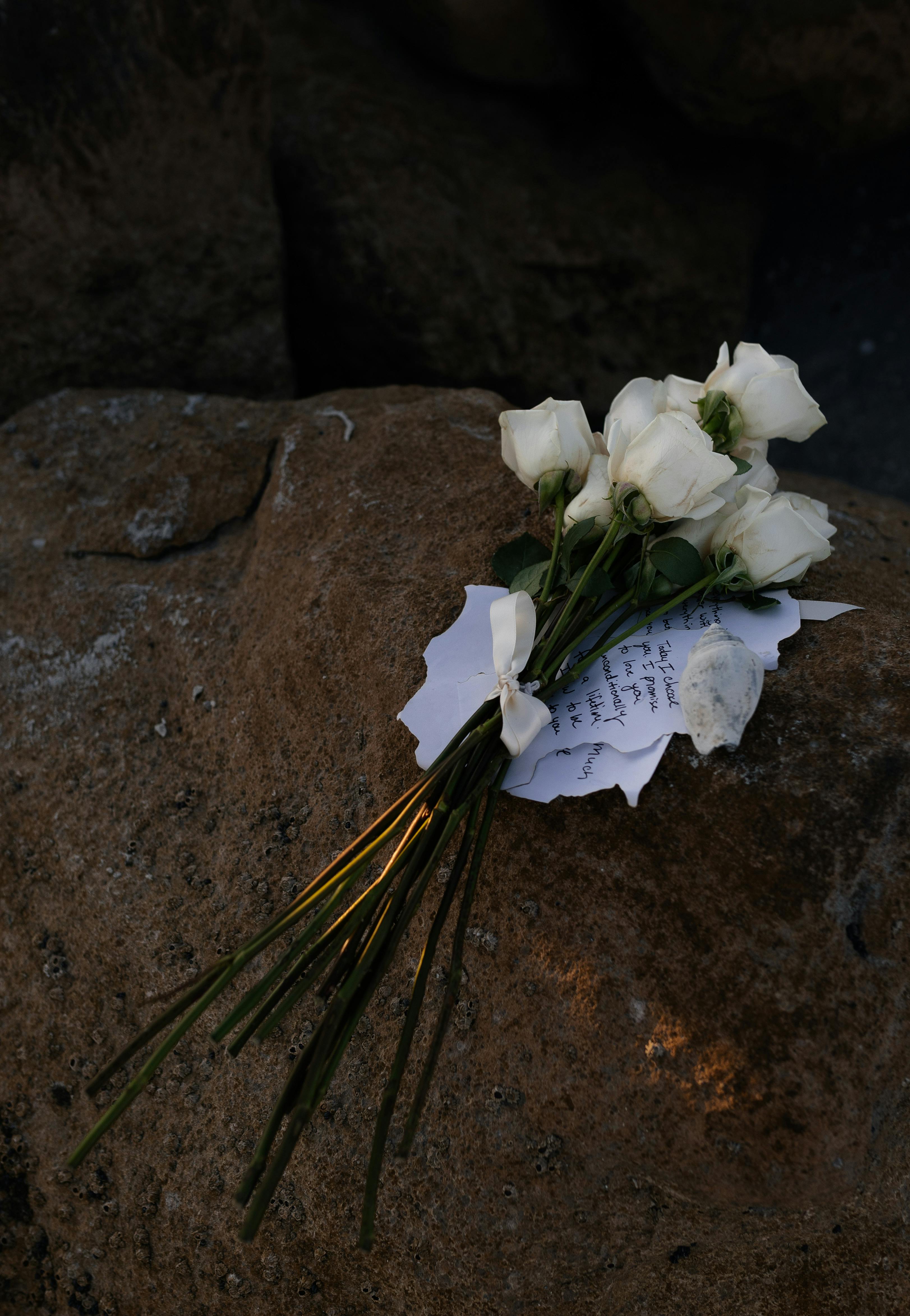 Note Gram Photos, Download The BEST Free Note Gram Stock Photos & HD Images