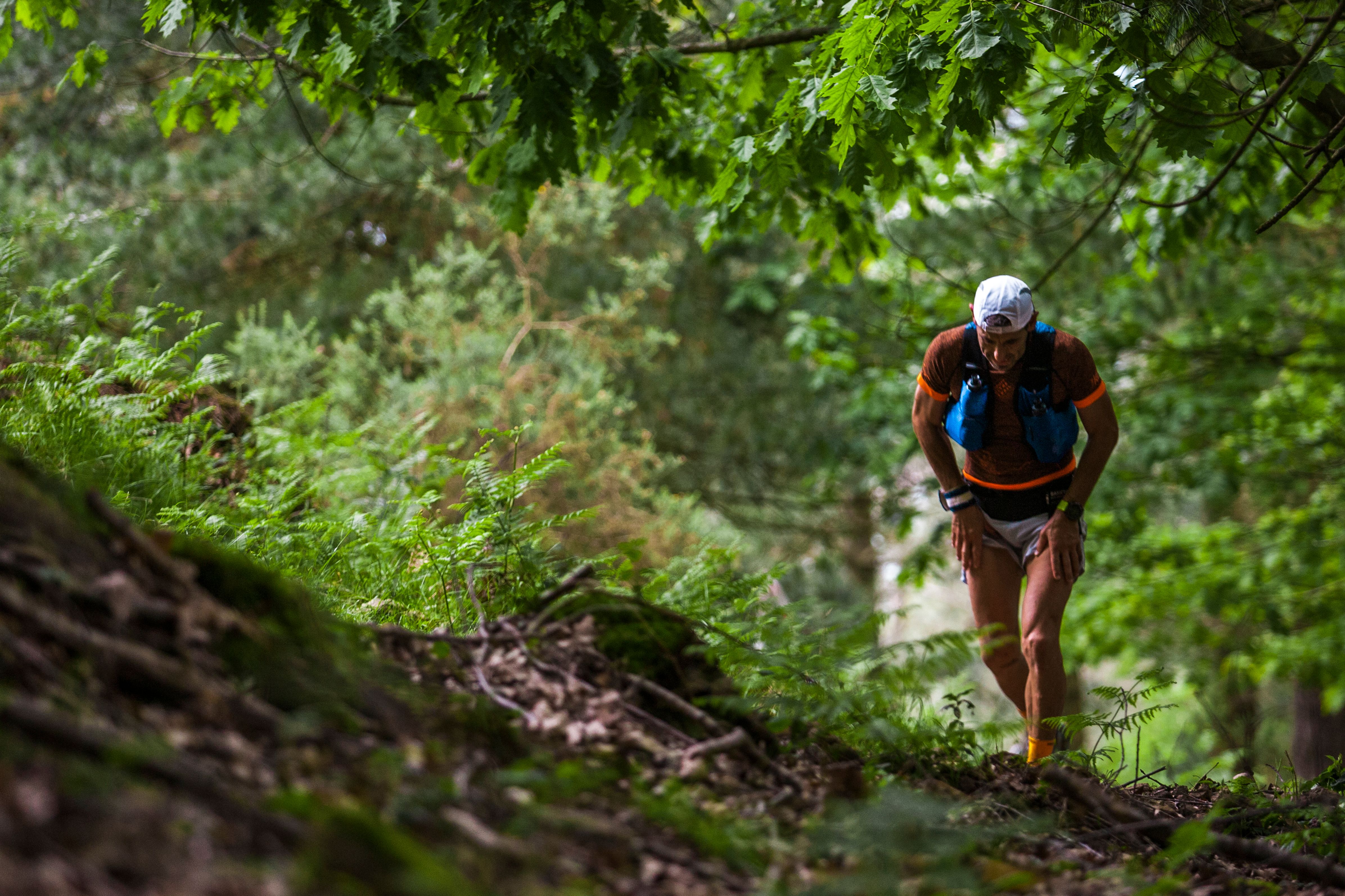 A person running through the woods on a trail · Free Stock Photo