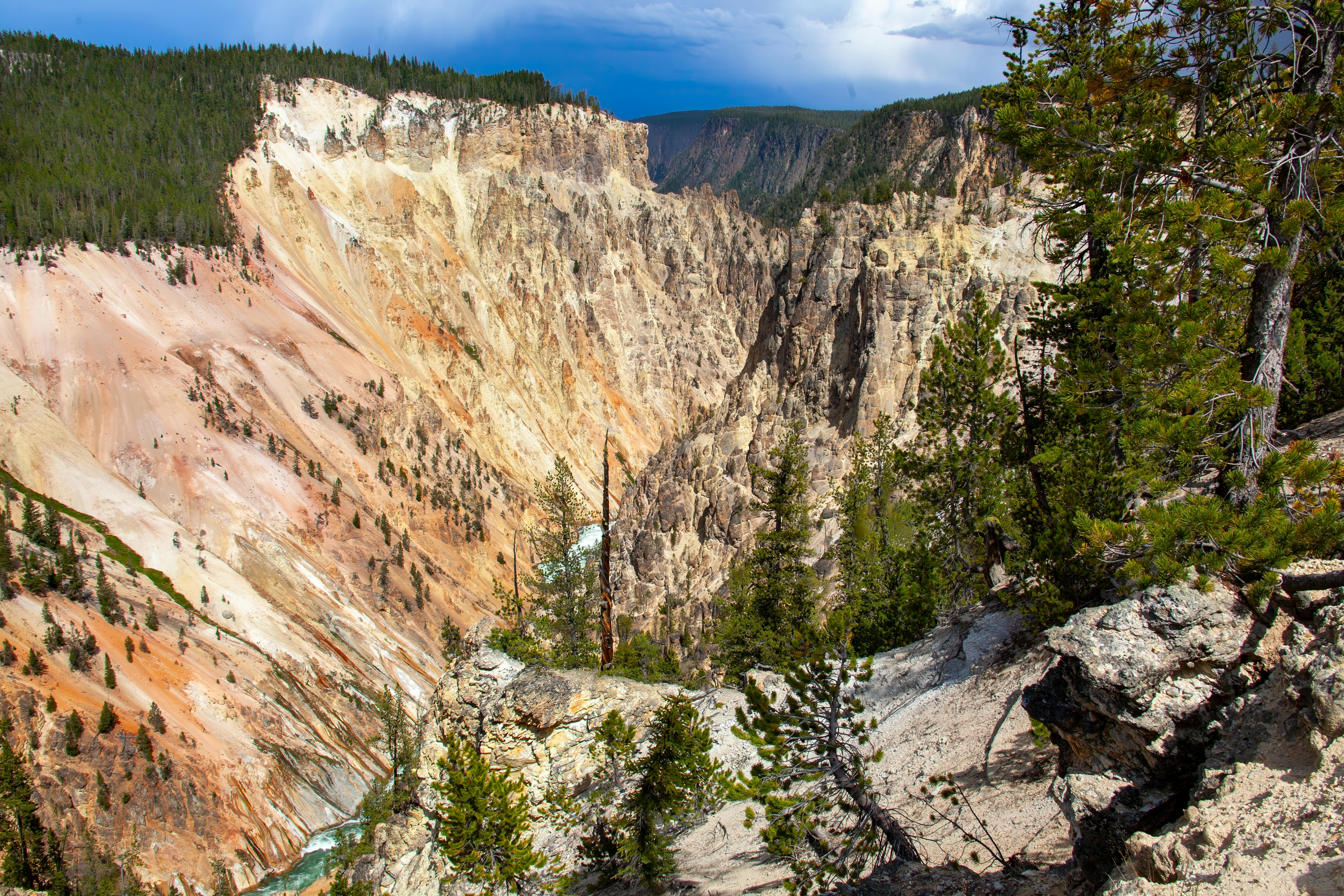 The grand canyon of yellowstone · Free Stock Photo