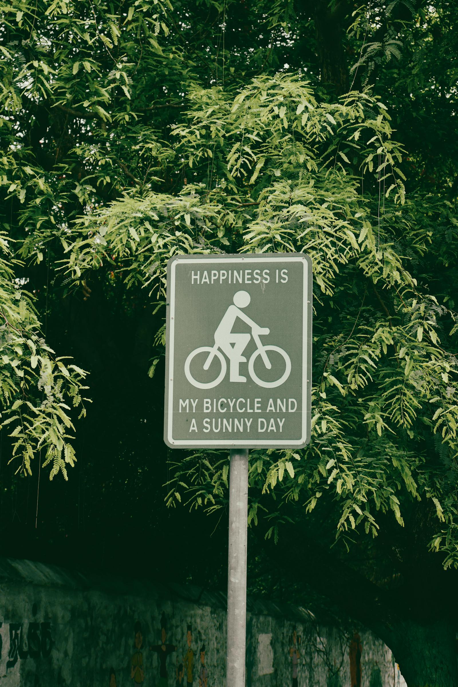 Clear Message Photos, Download The BEST Free Clear Message Stock Photos ...