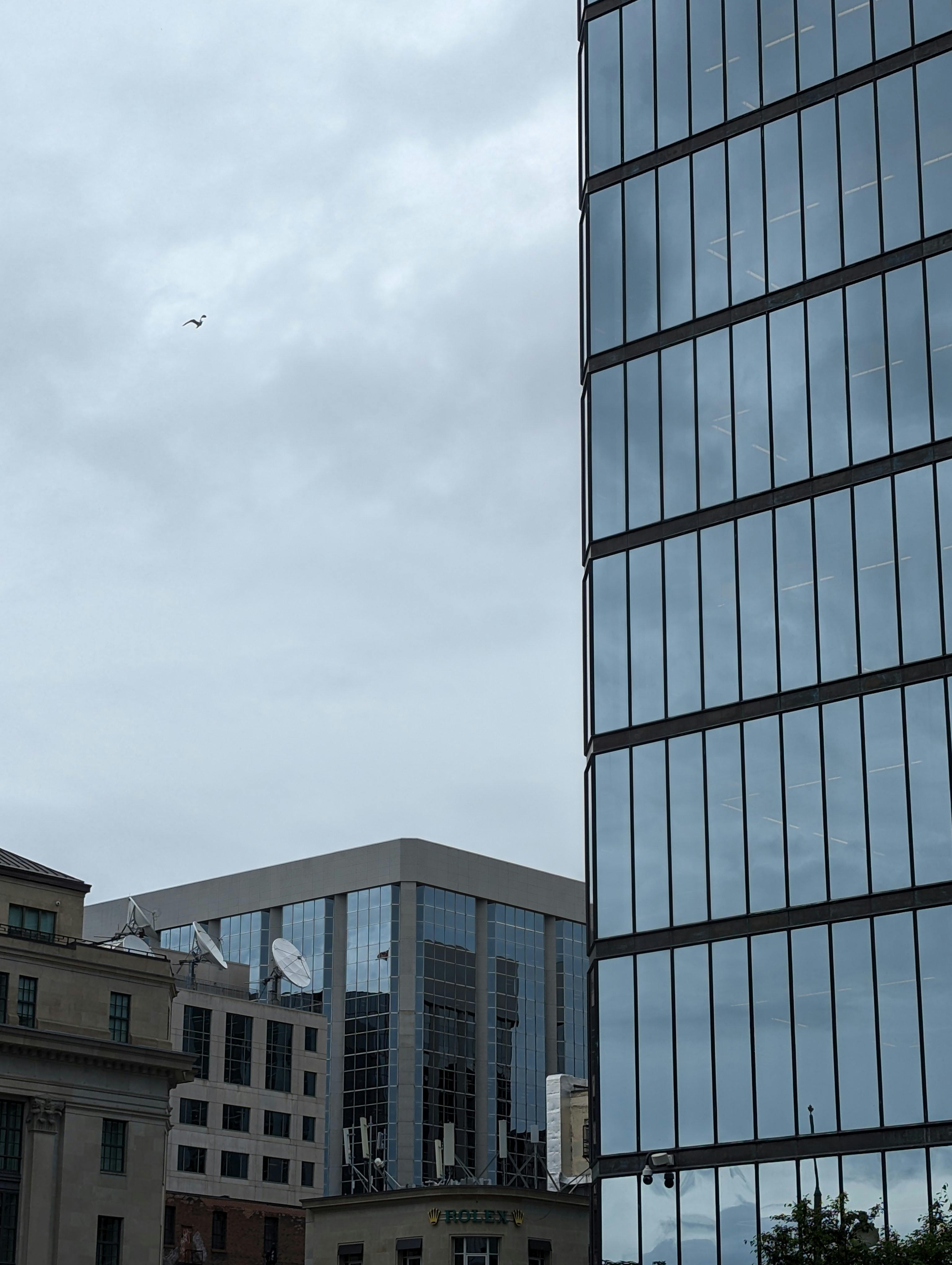 Ottawa. City Center · Free Stock Photo