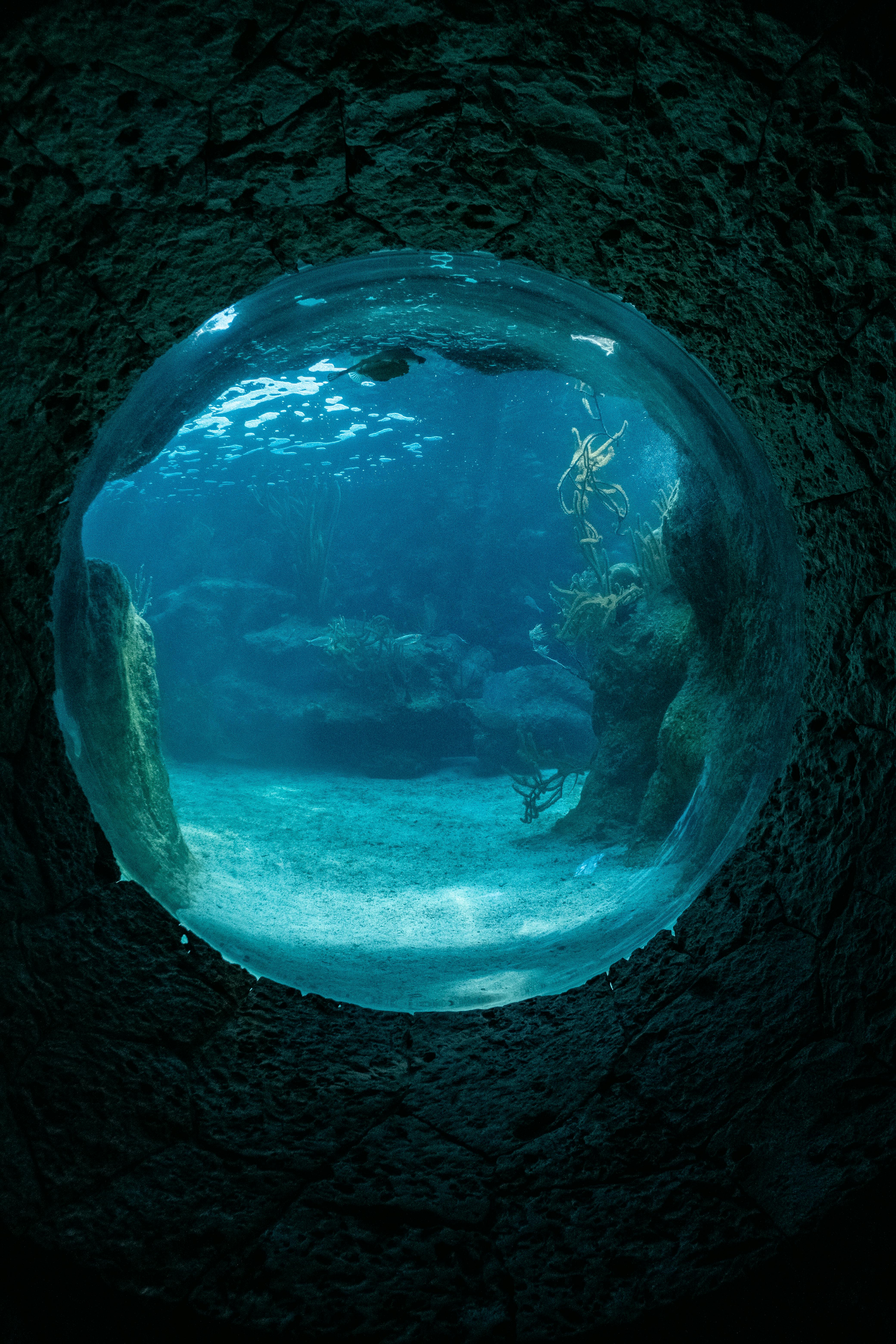 A Round Submarine Window with View of the Sea · Free Stock Photo
