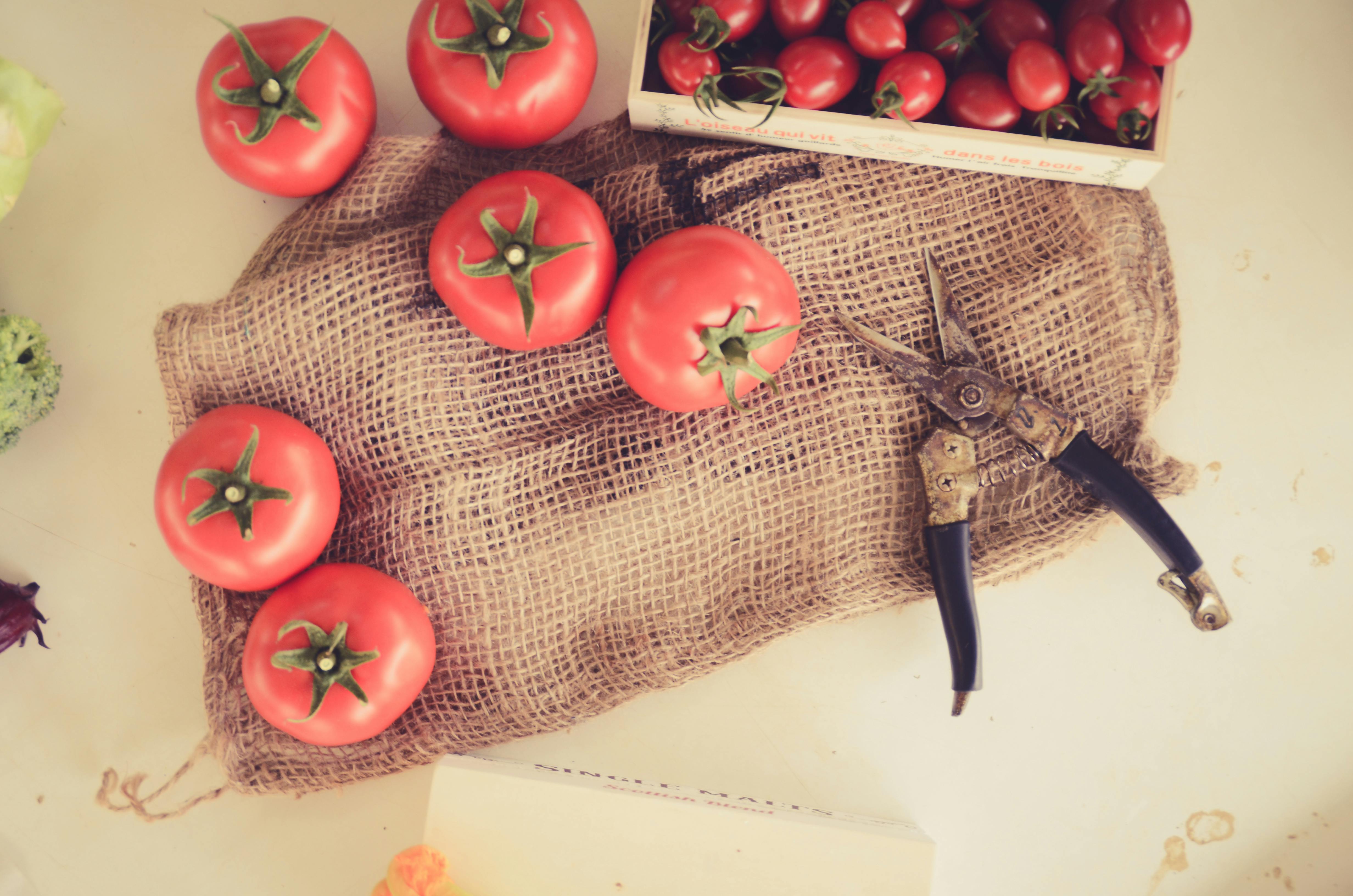 Amy Chandra · Photography