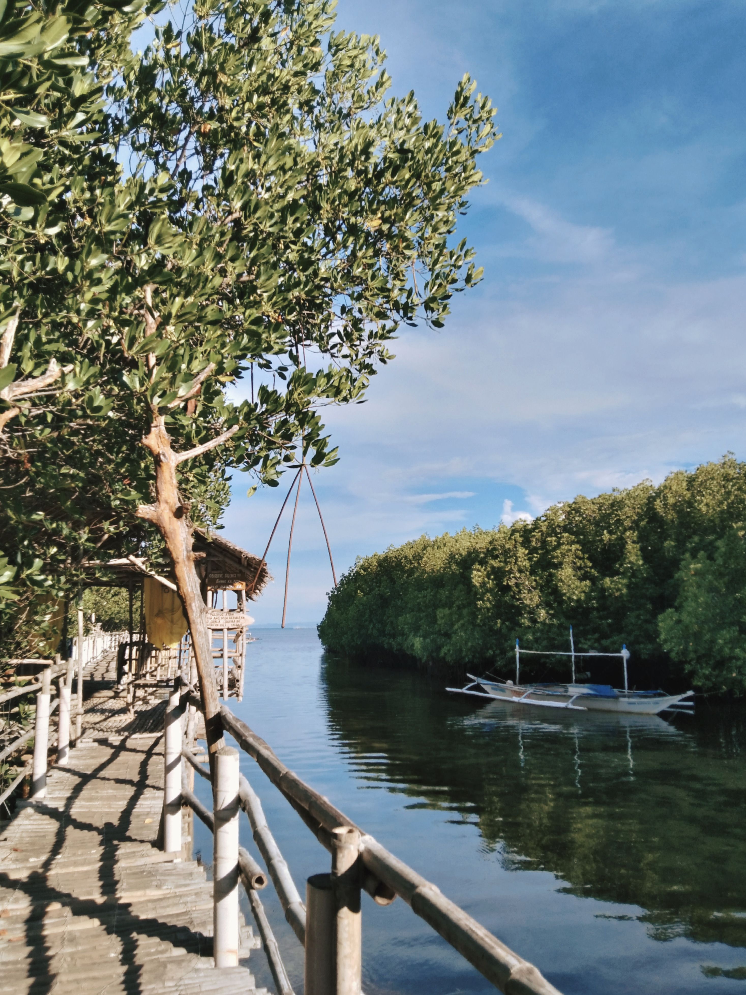 Boardwalk on River in Forest · Free Stock Photo