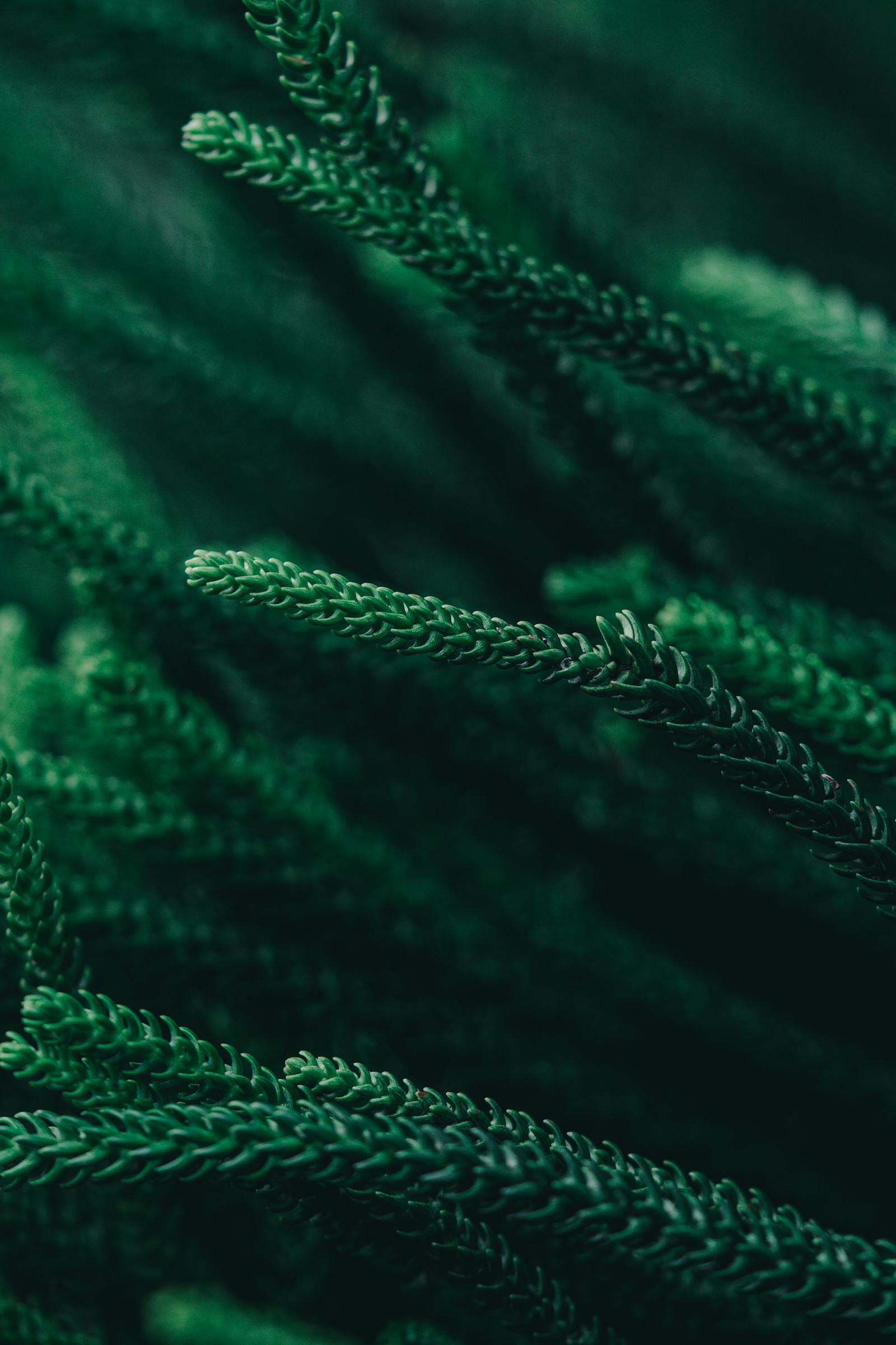 Hd Free Photos, Download The BEST Free Hd Free Stock Photos & HD Images