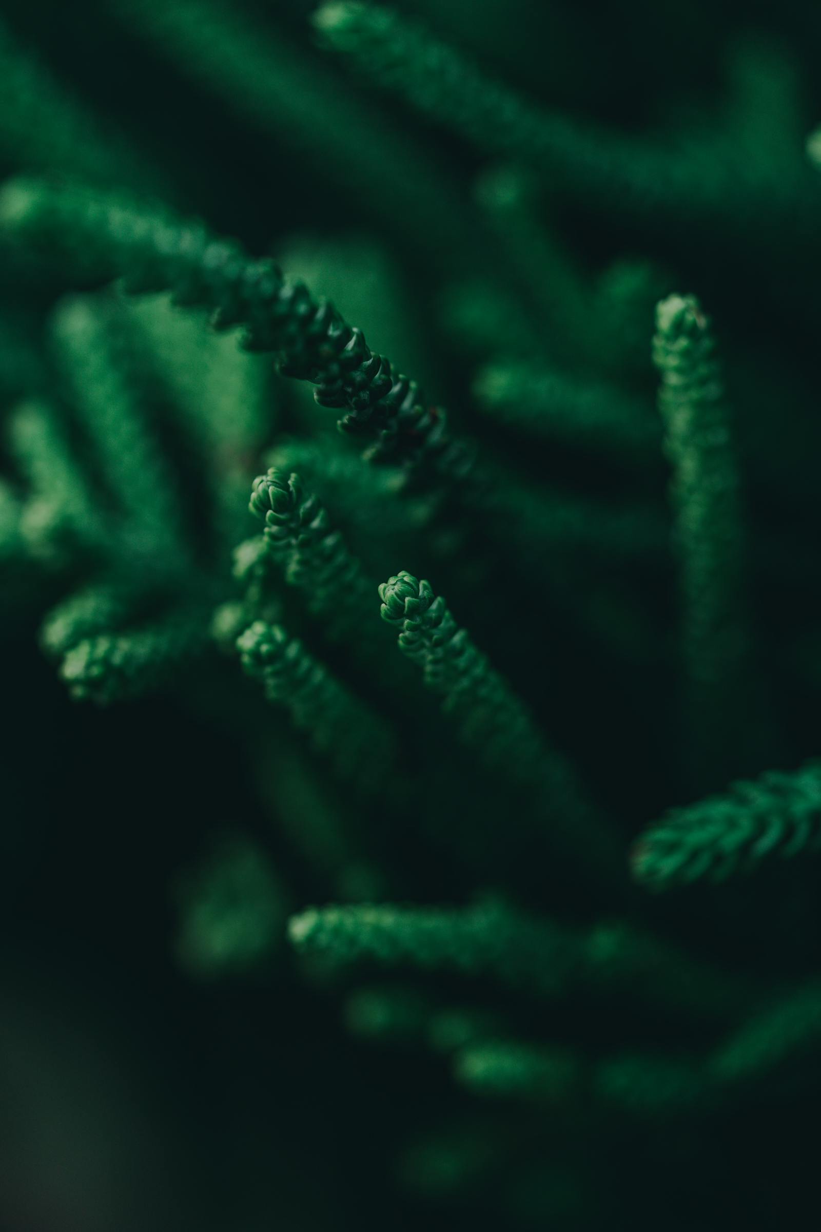 4k Editing Background Photos, Download The BEST Free 4k Editing ...