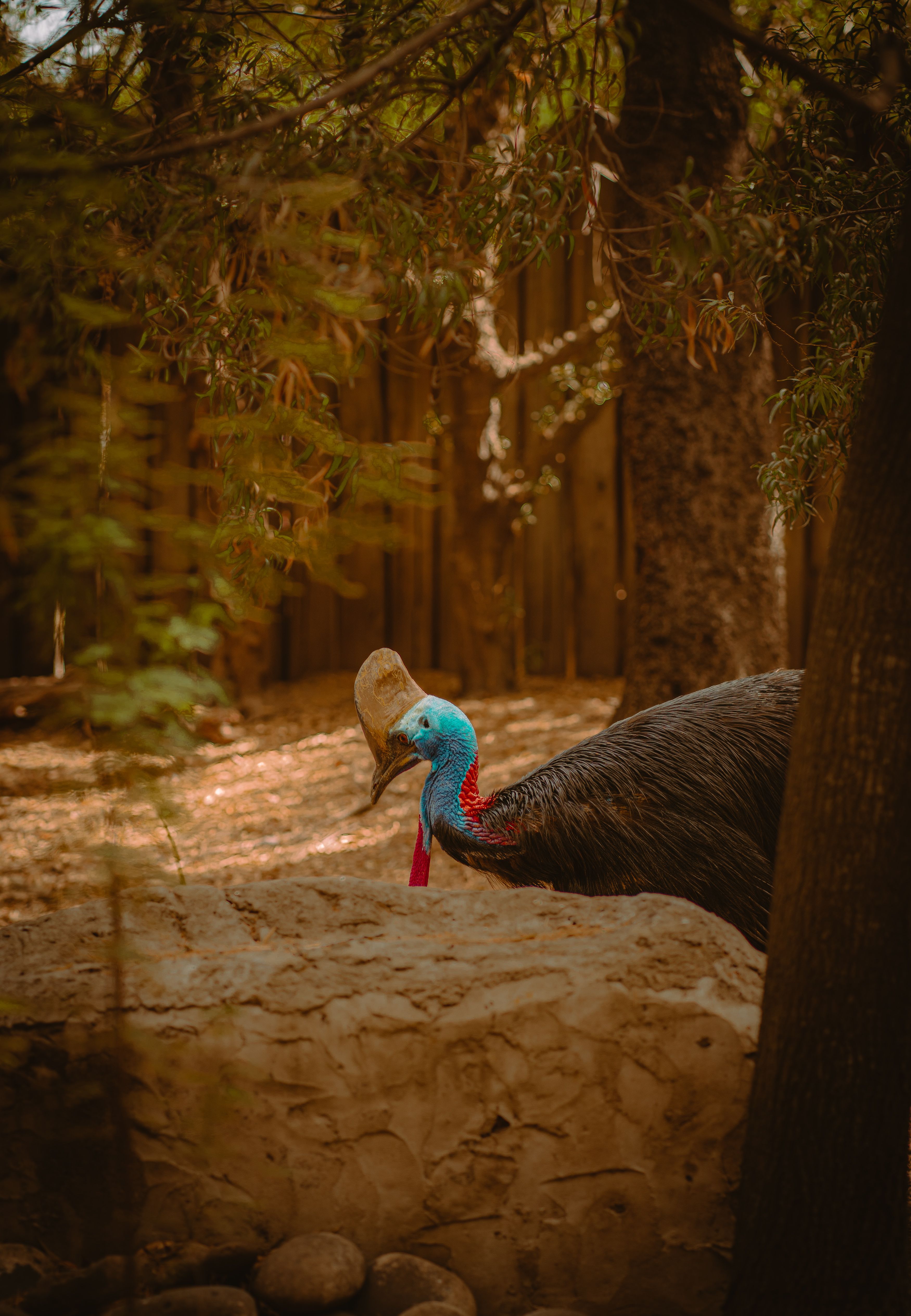 New Non Photos, Download The BEST Free New Non Stock Photos & HD Images