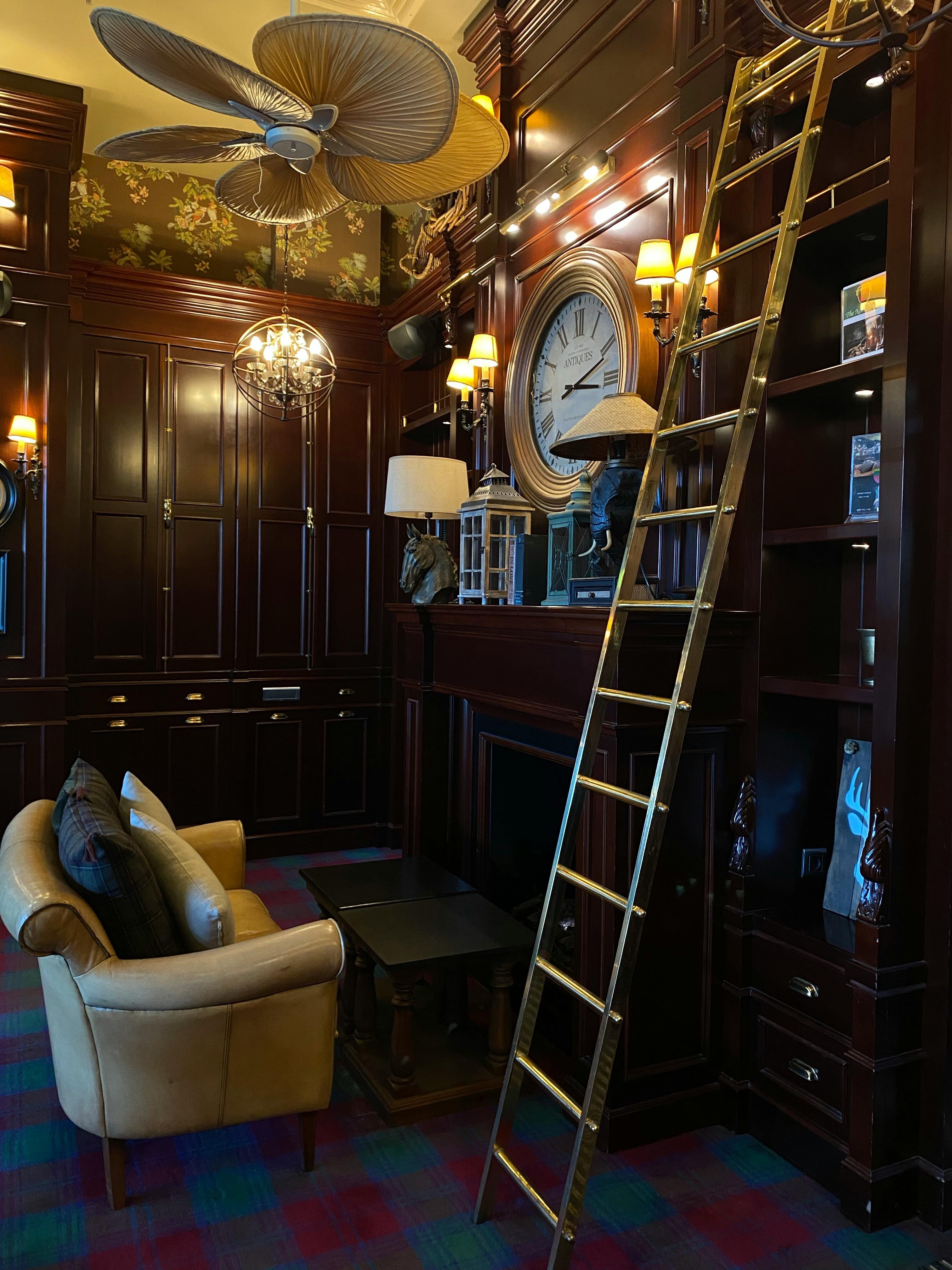 Rose Ladder Photos, Download The BEST Free Rose Ladder Stock Photos ...