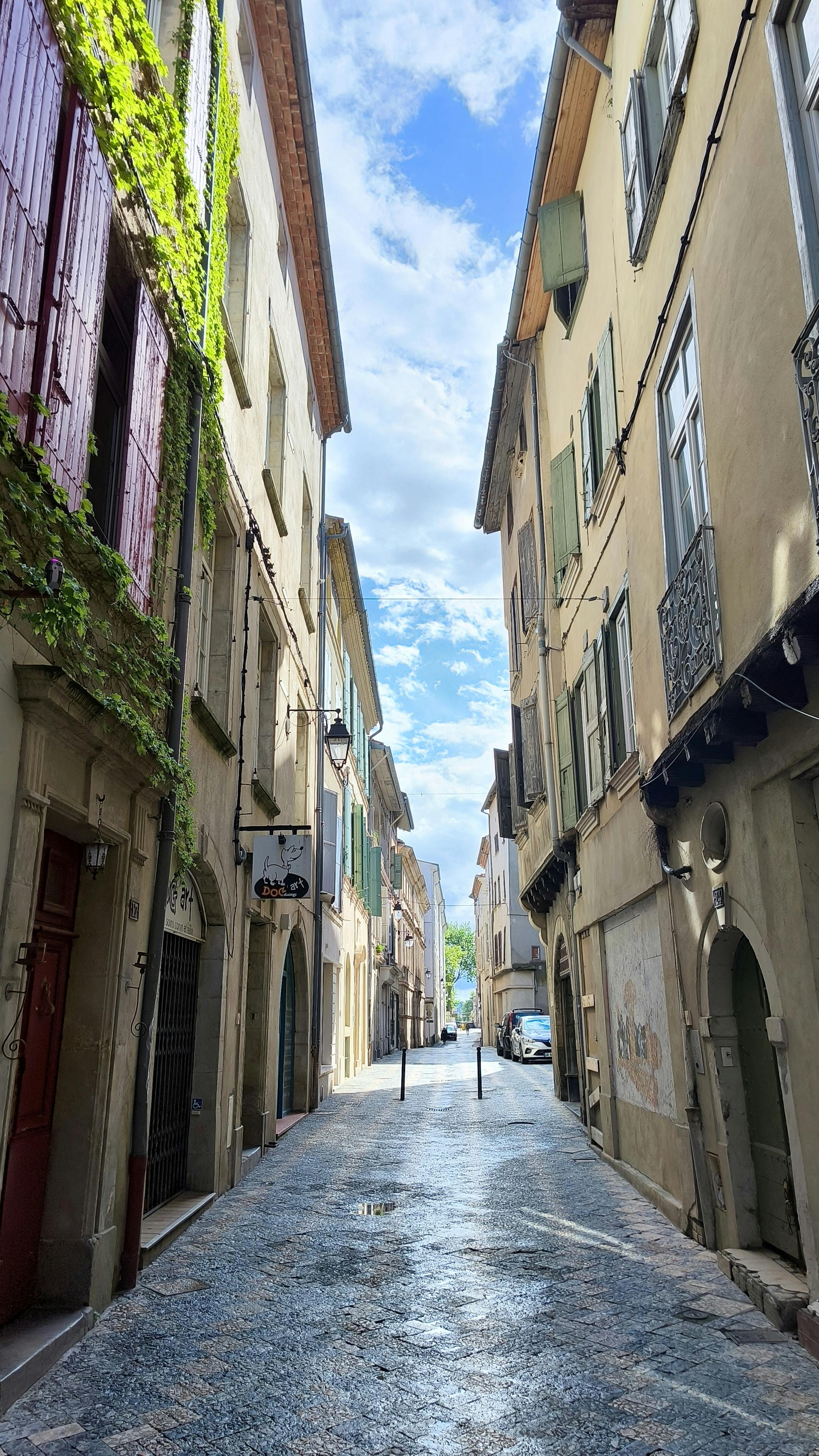 Castel Medieval Photos, Download The BEST Free Castel Medieval Stock ...