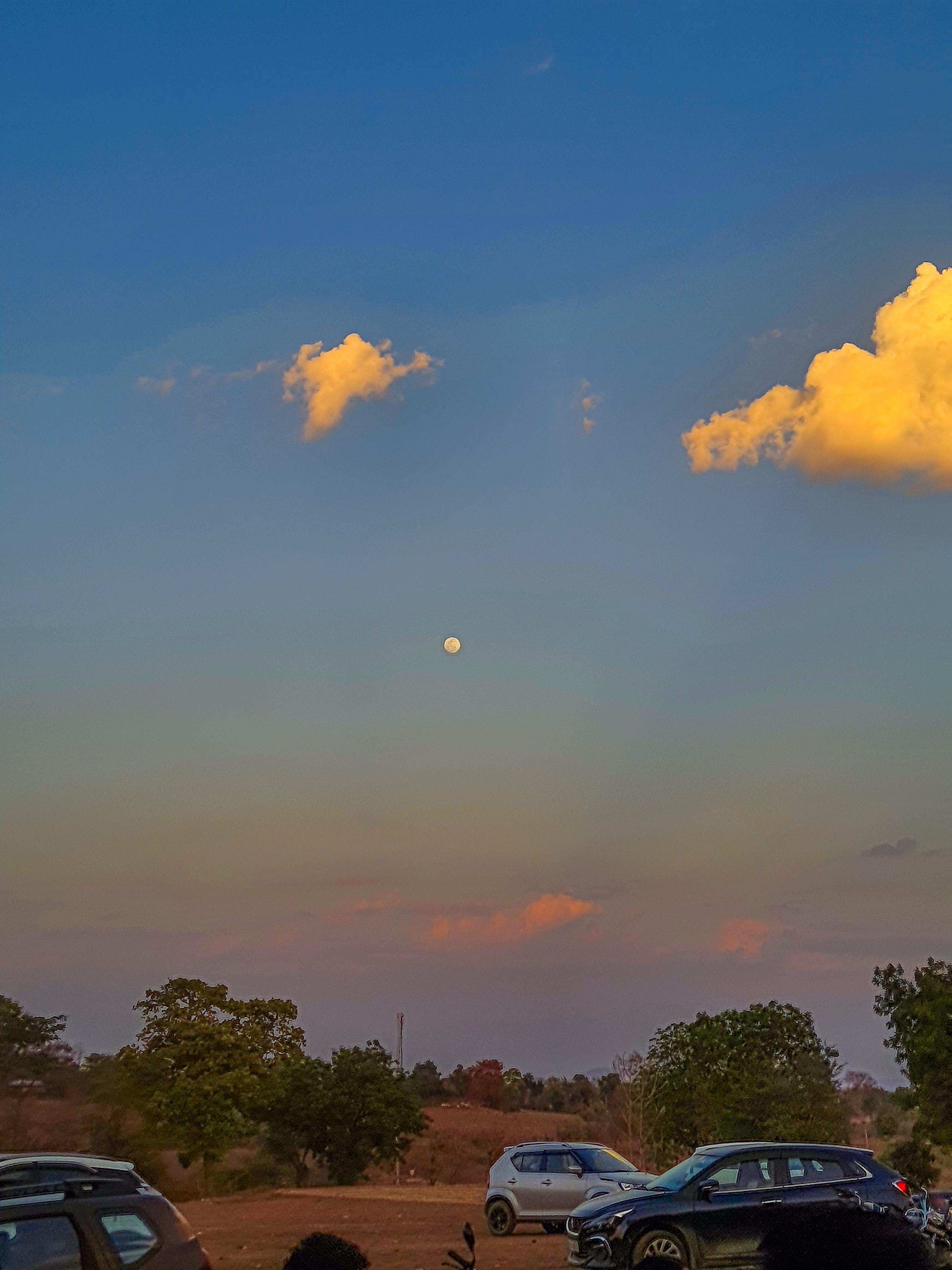 dhaval damor - 写真
