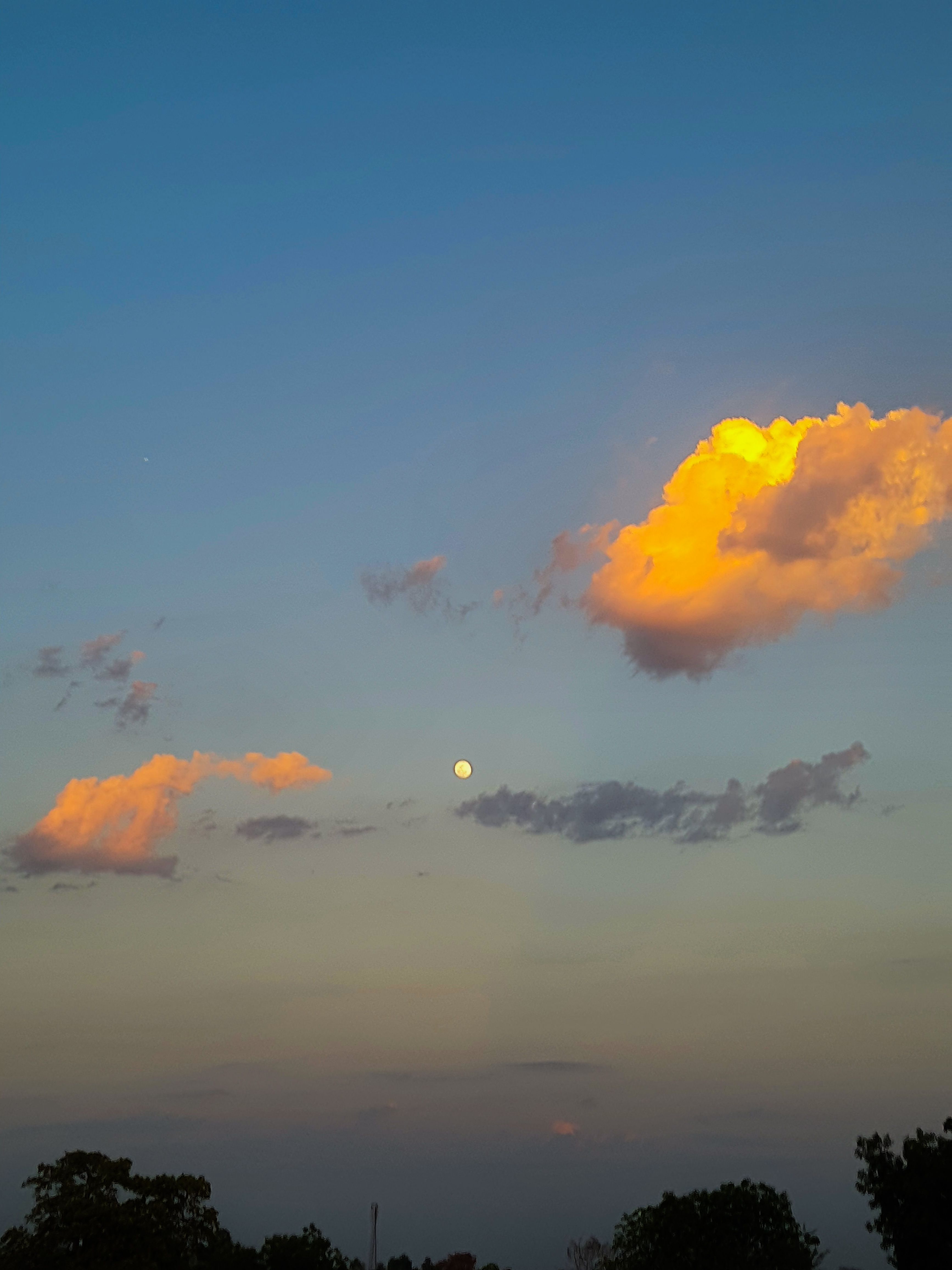 dhaval damor - 写真