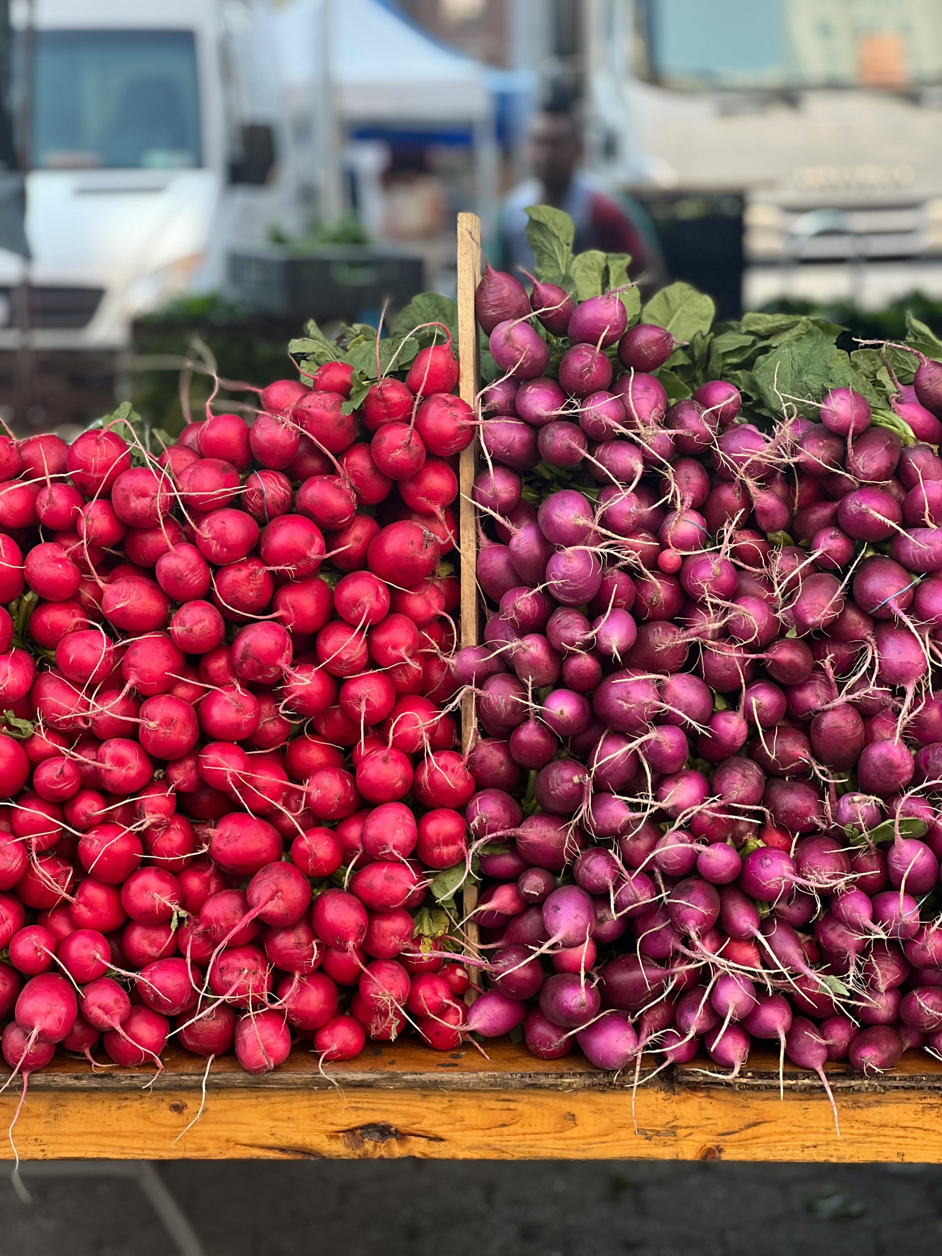 Root Crops Vegetables in the Market · Free Stock Photo