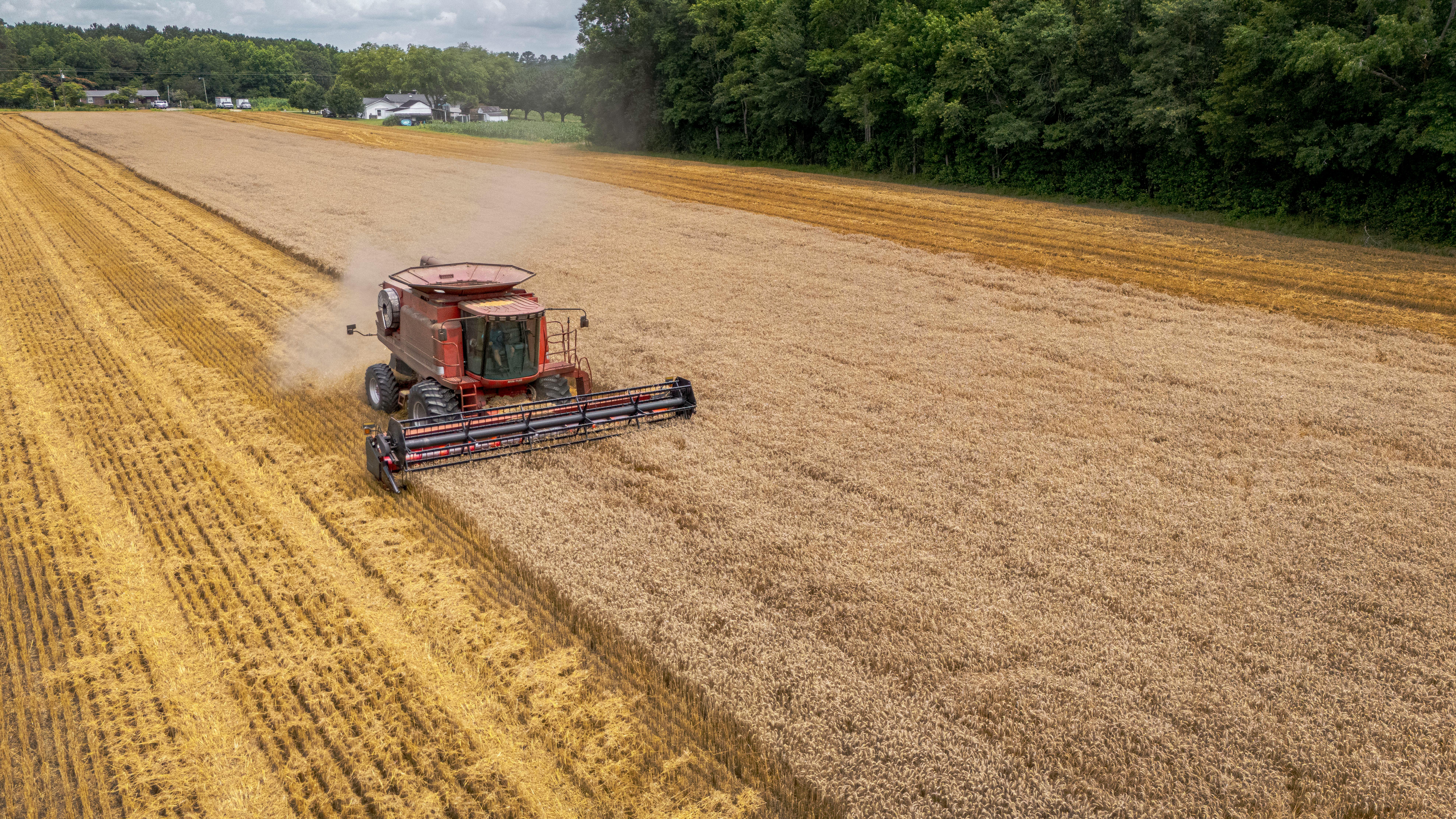 Red Harvester Cutting Crops · Free Stock Photo