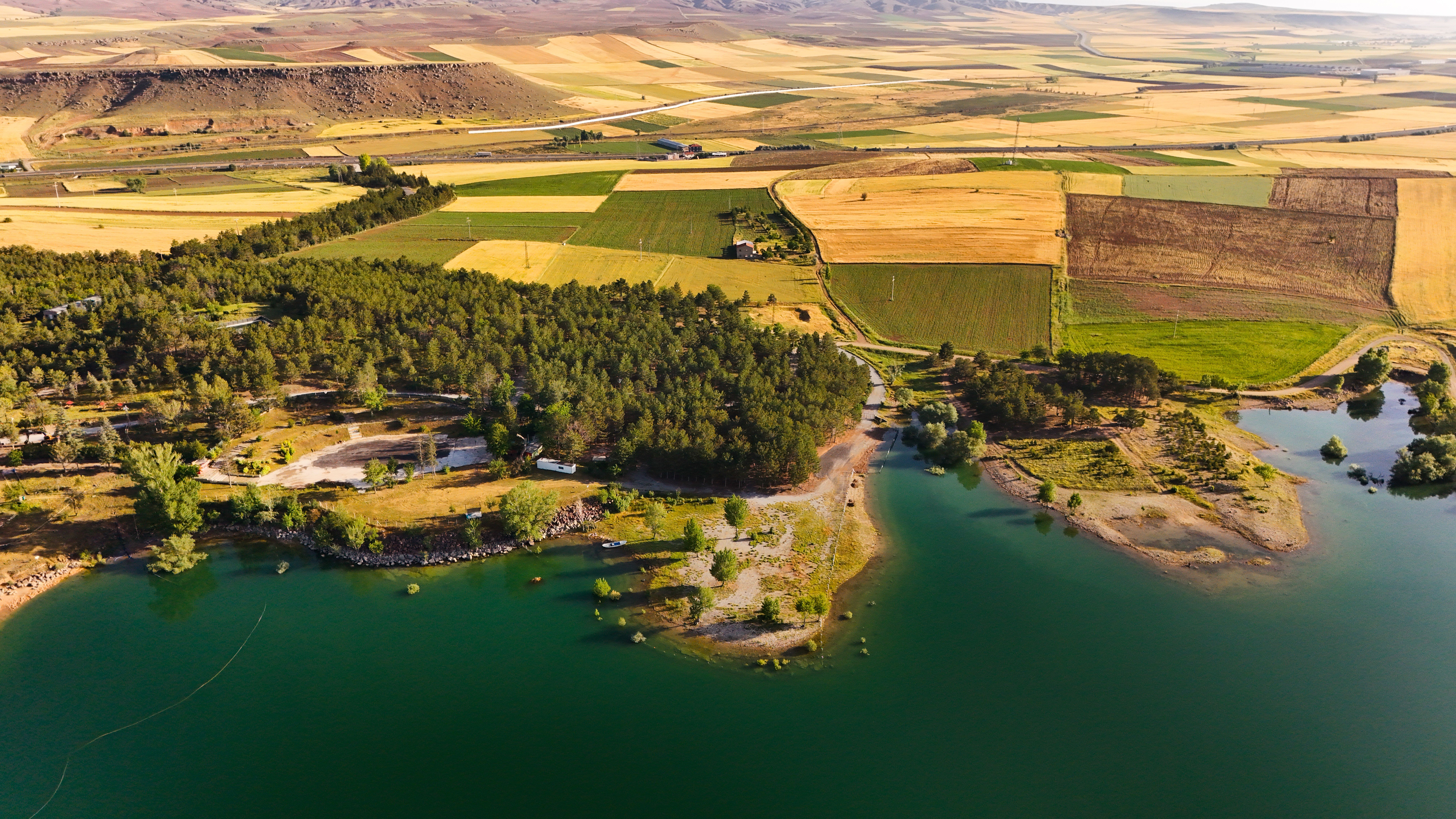 Trees and Fields Around Lake in Countryside · Free Stock Photo