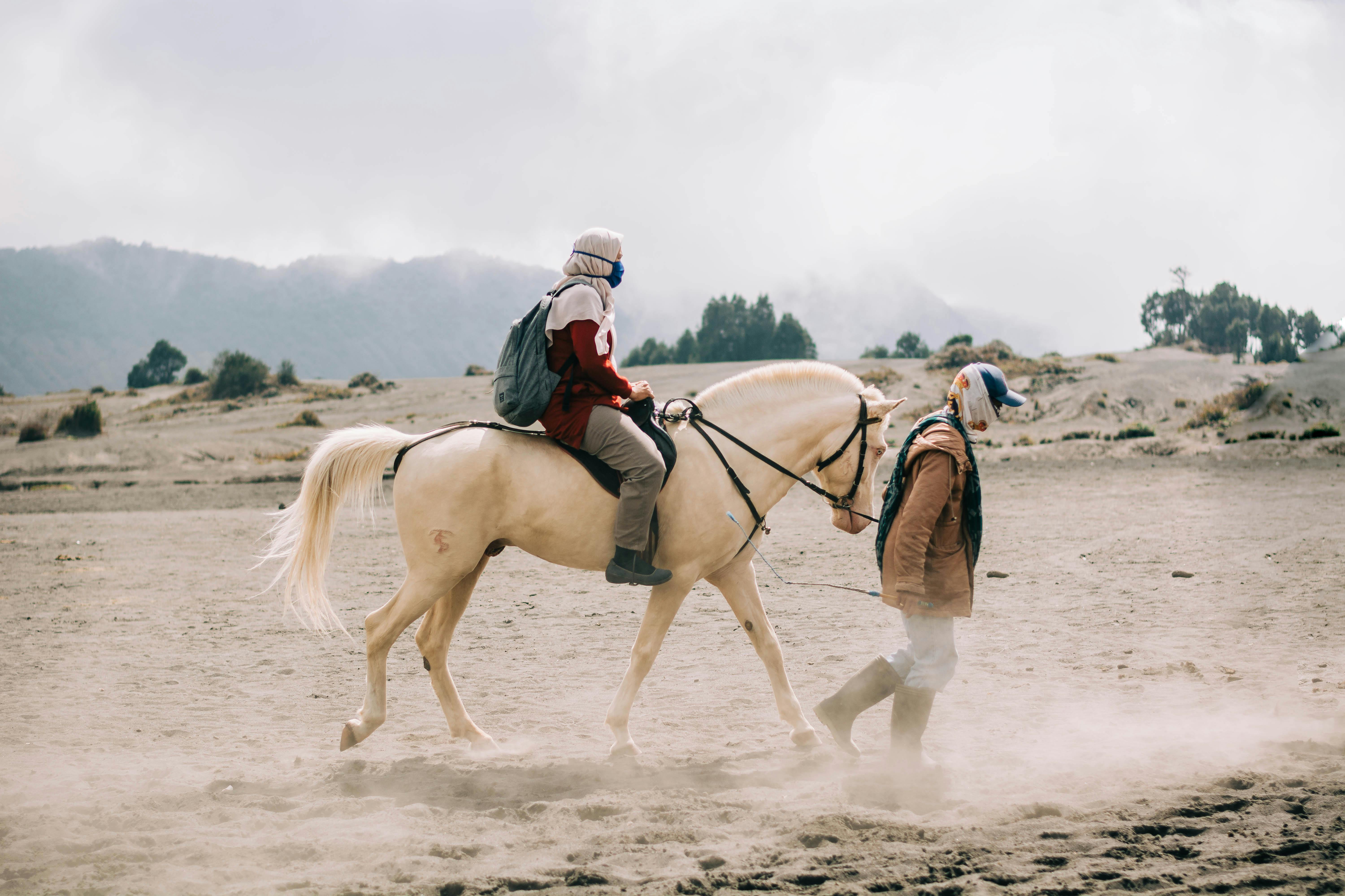 Photo of Person Riding a Horse · Free Stock Photo