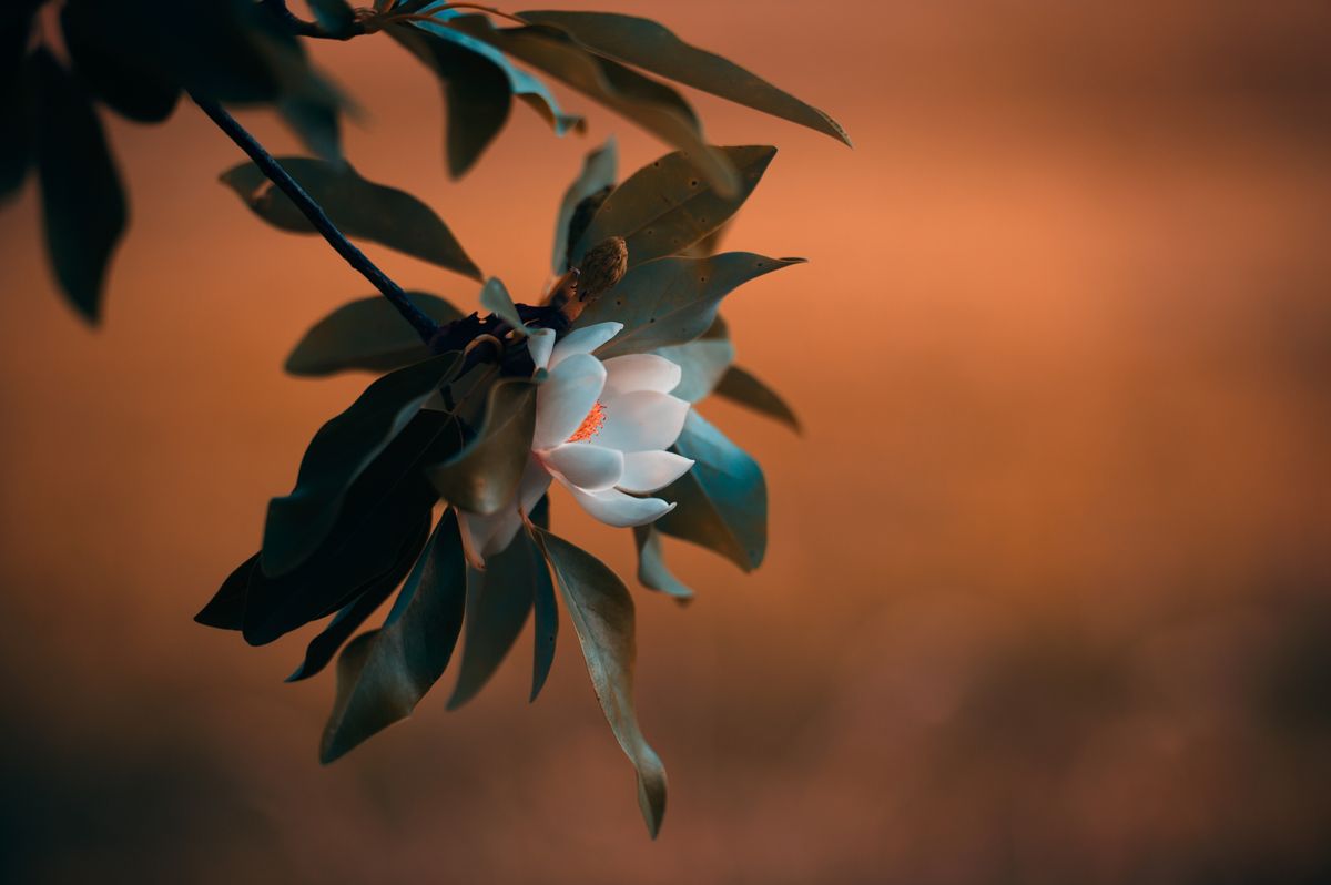Edit