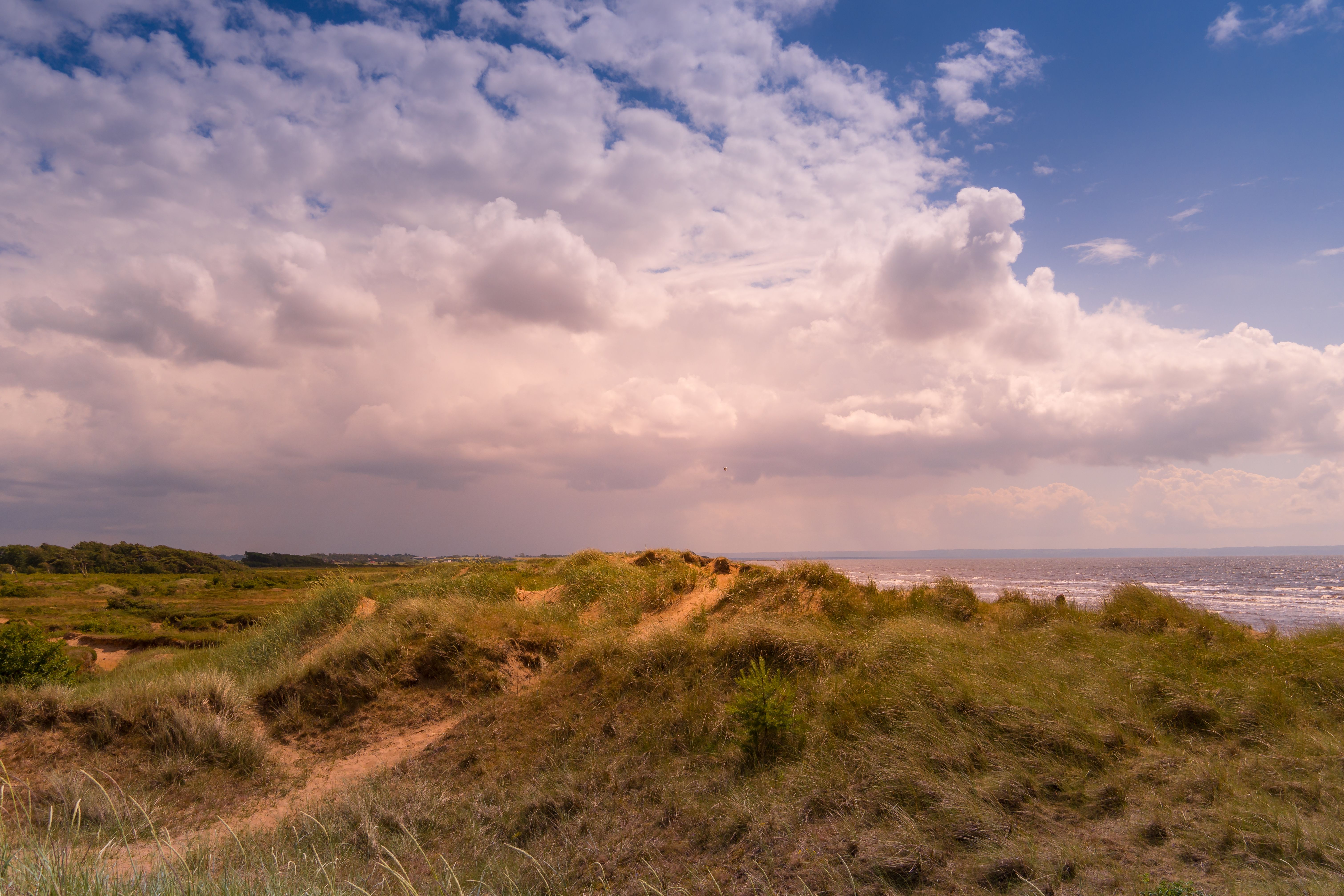 Thick Clouds over a Grassy Coast · Free Stock Photo
