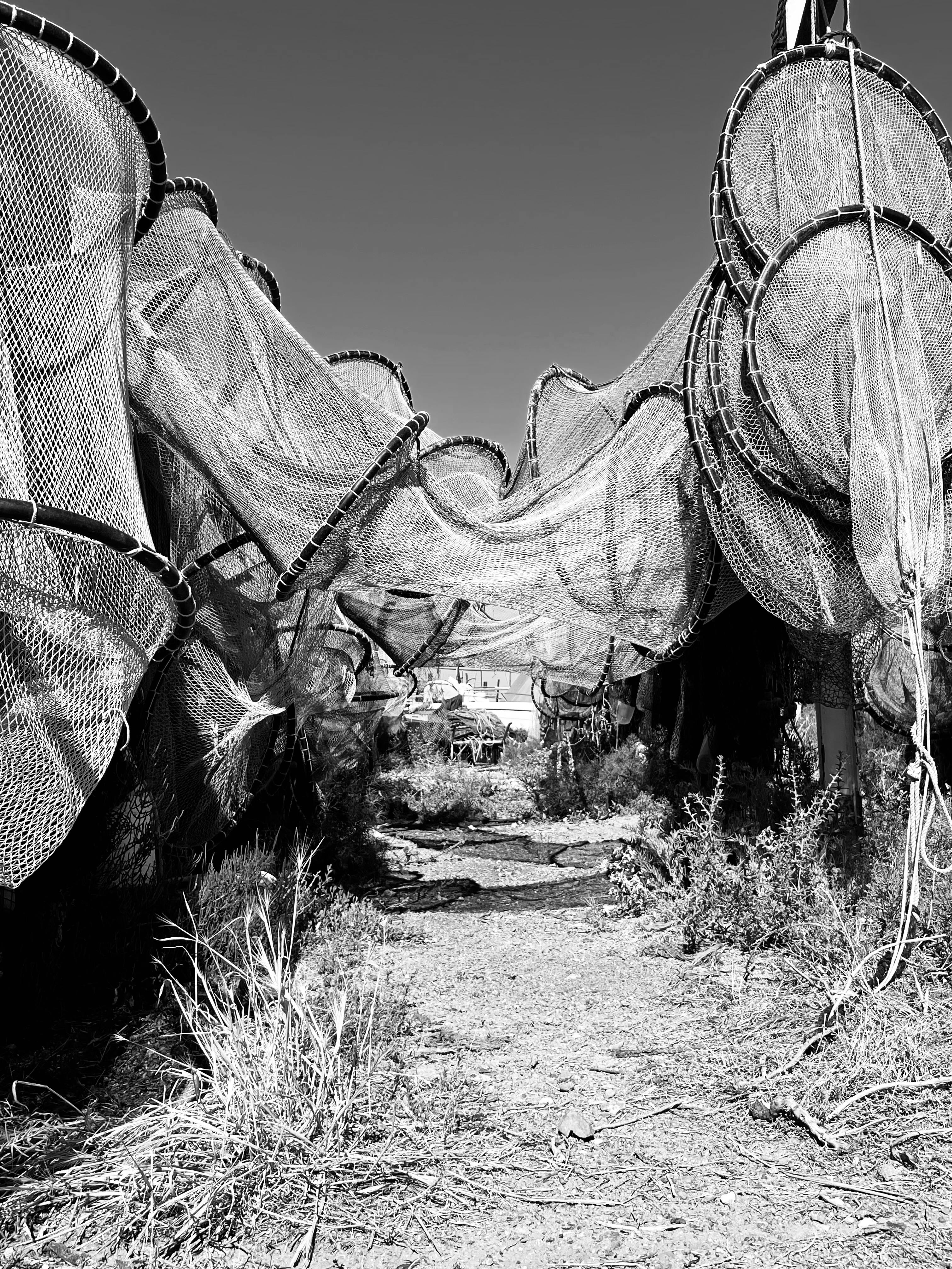 Fishing Traps Hanging Outdoors · Free Stock Photo