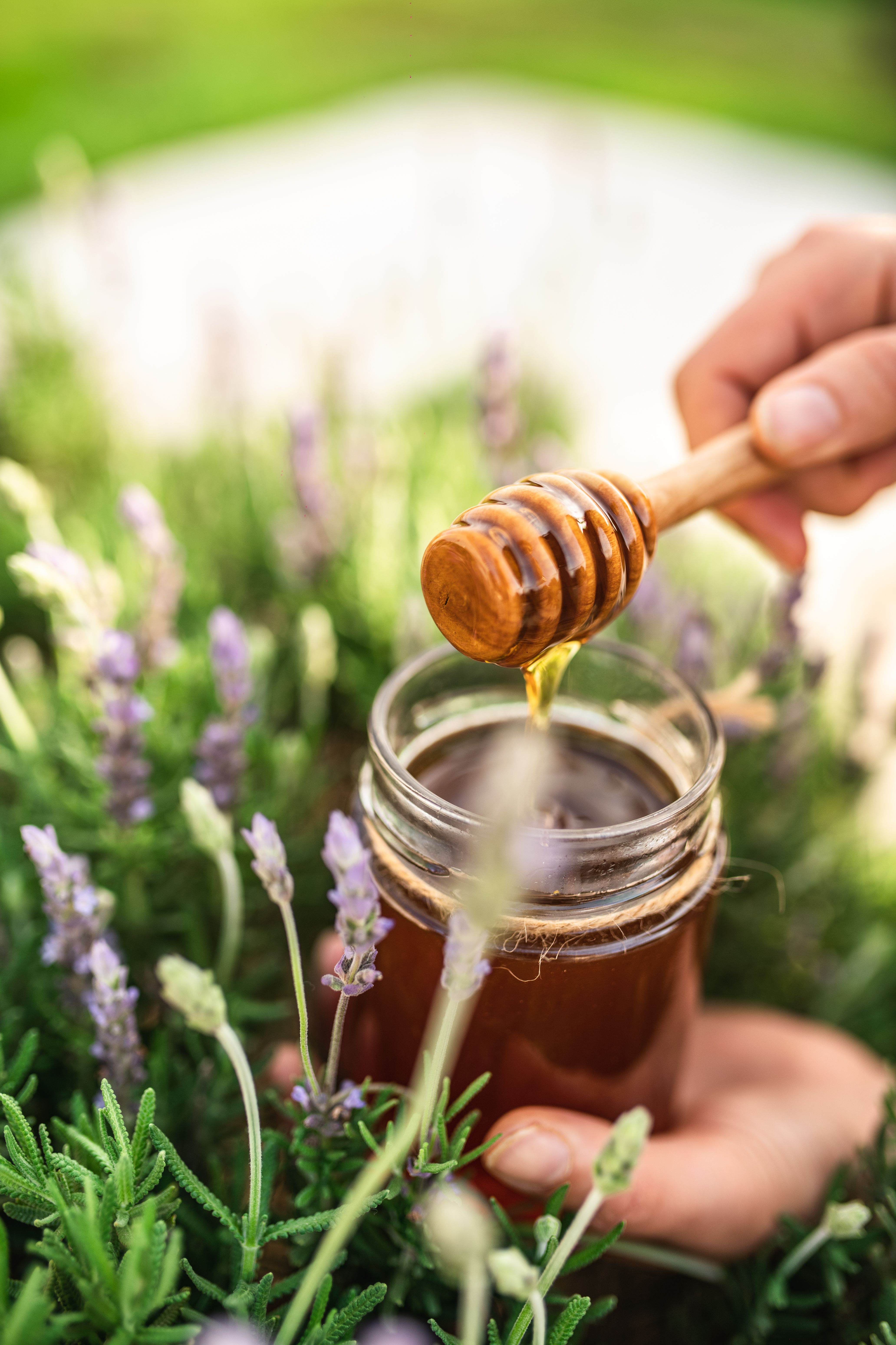 Hands of a Person Holding a Jar of Honey over Flowers Blooming in a ...
