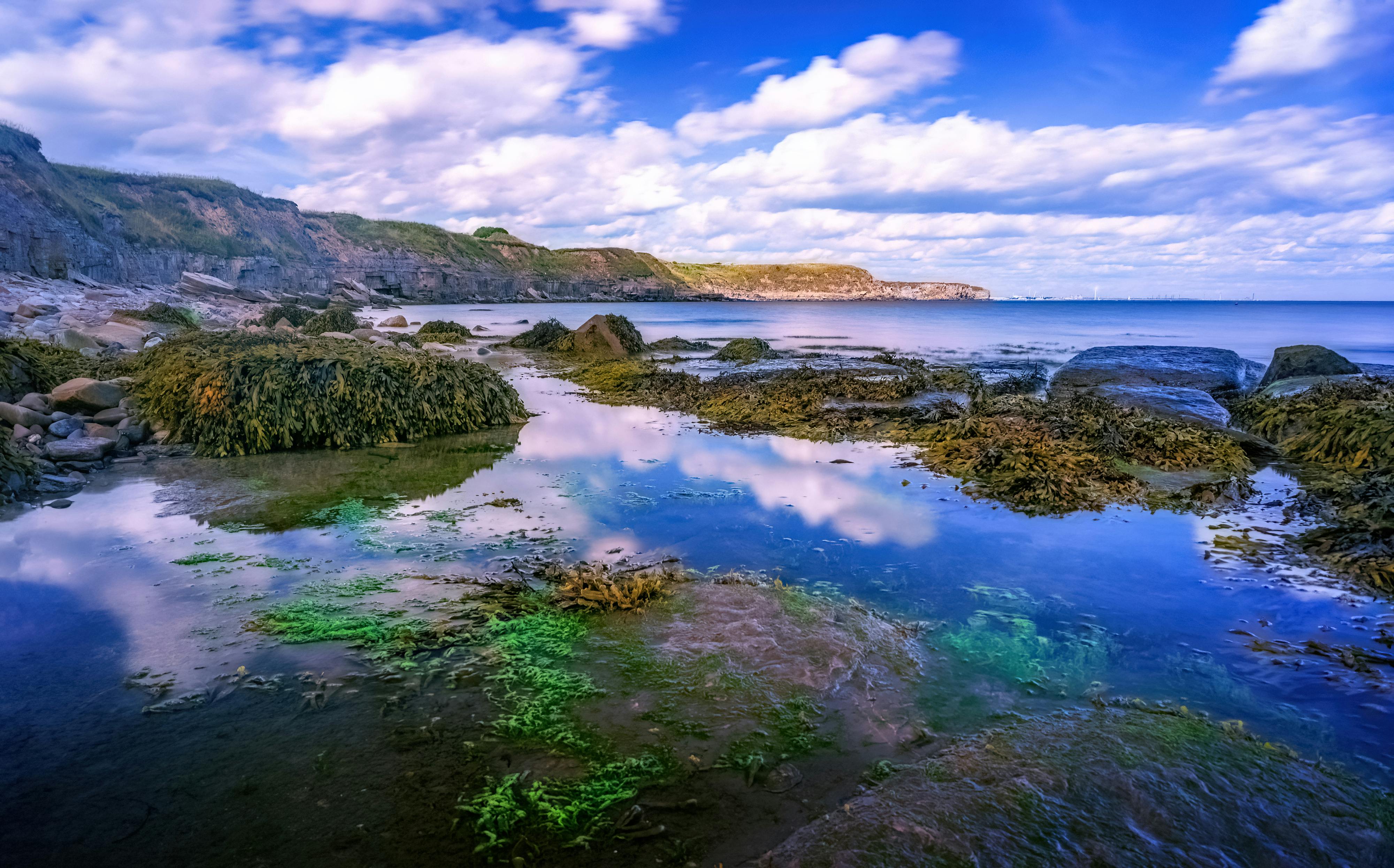 Mornington Peninsula National Park · Free Stock Photo
