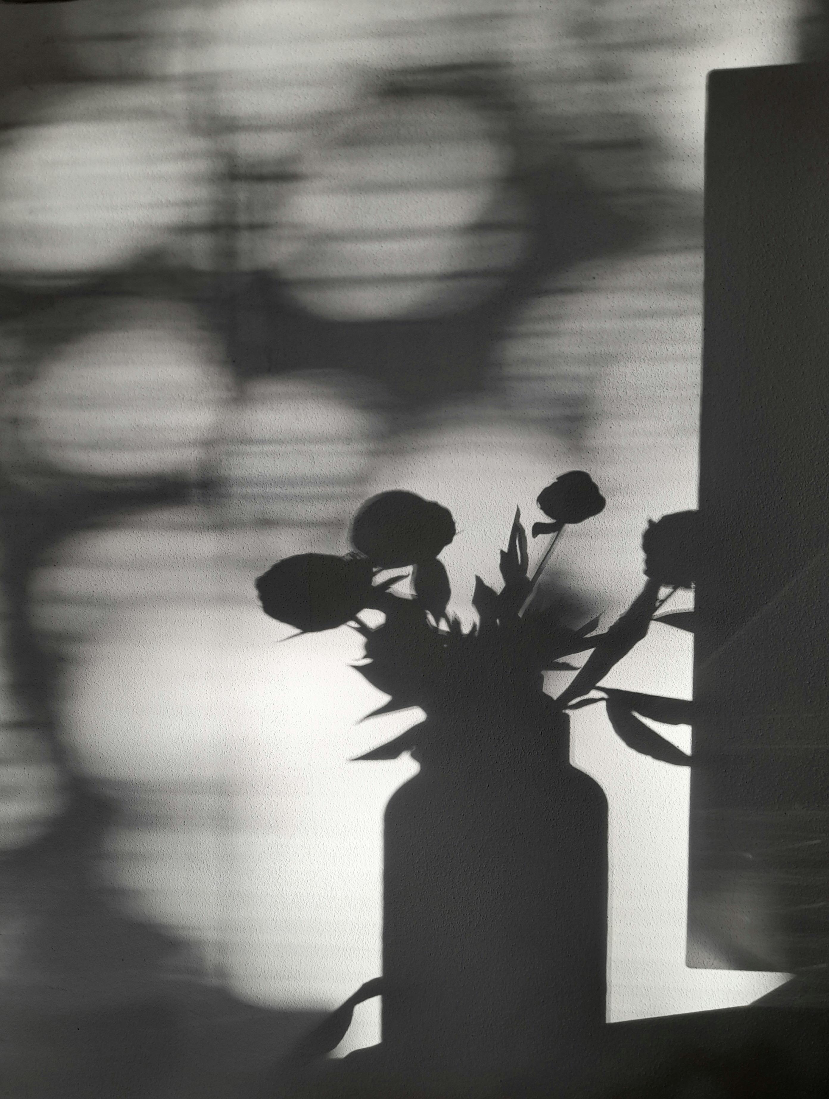 Shadow of Vase with Flowers · Free Stock Photo