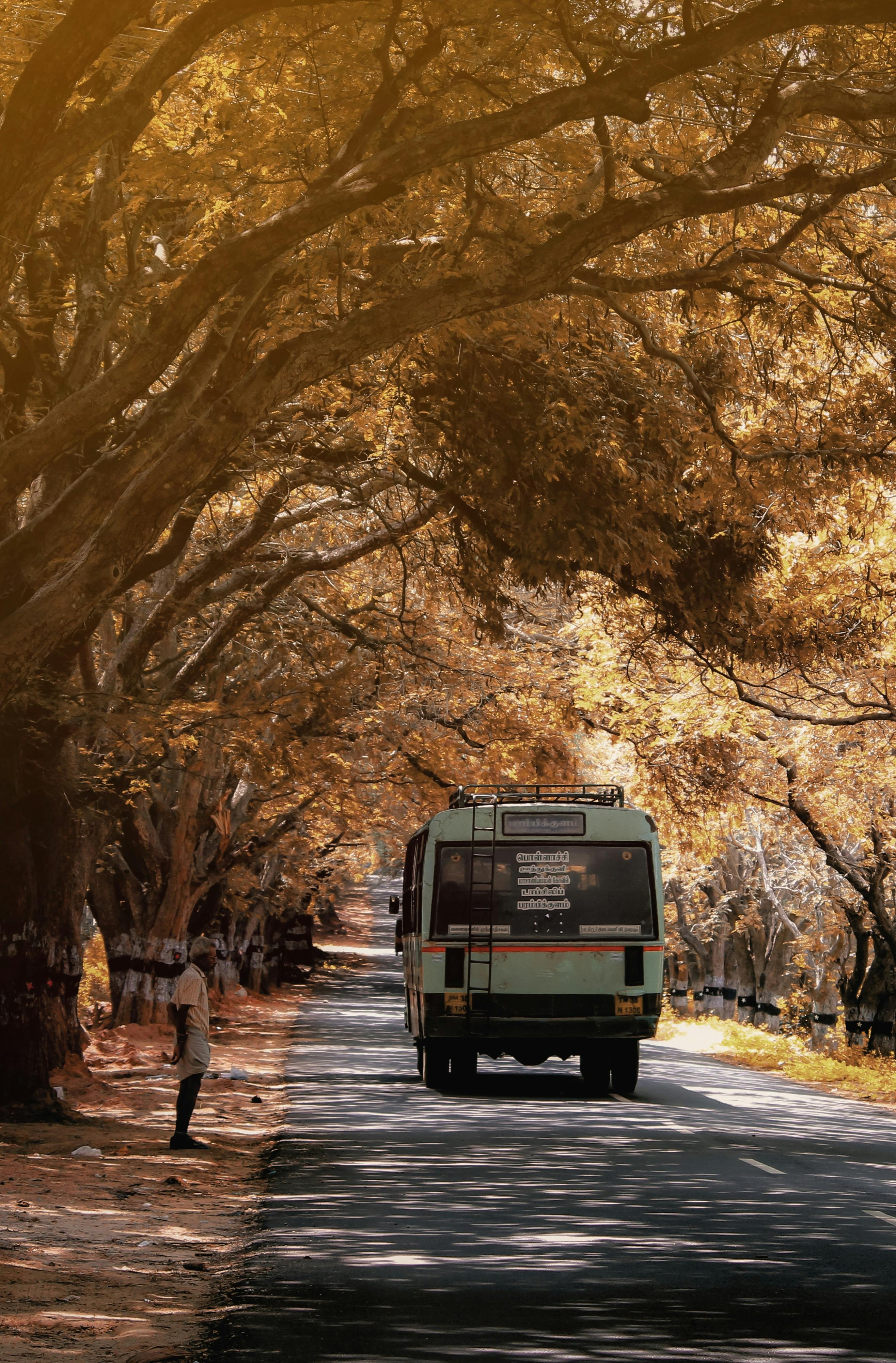 Man Waiting on Bus under Tree · Free Stock Photo